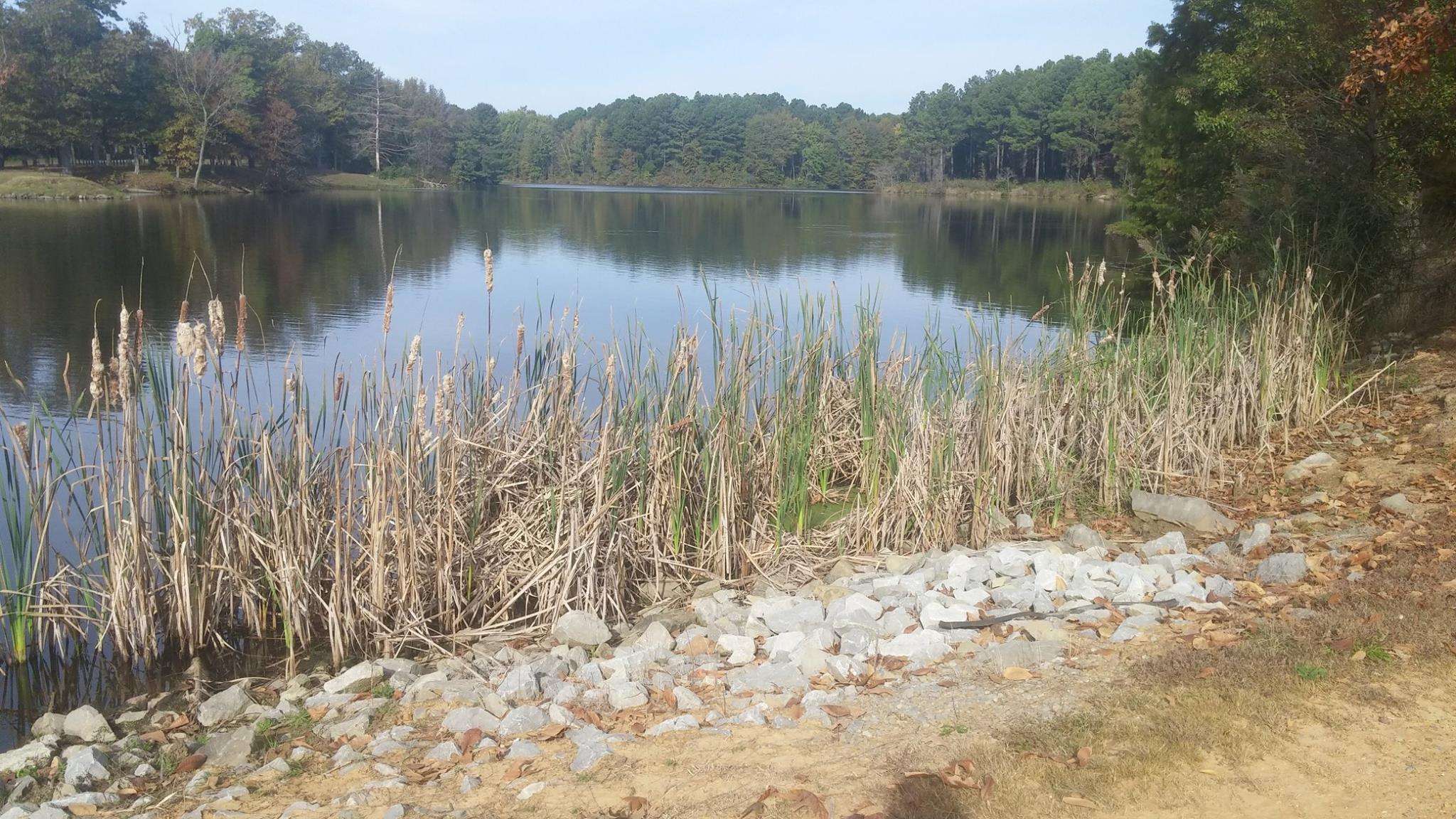 Hamilton County State Fish And Wildlife Area | Enjoy Illinois | Enjoy ...
