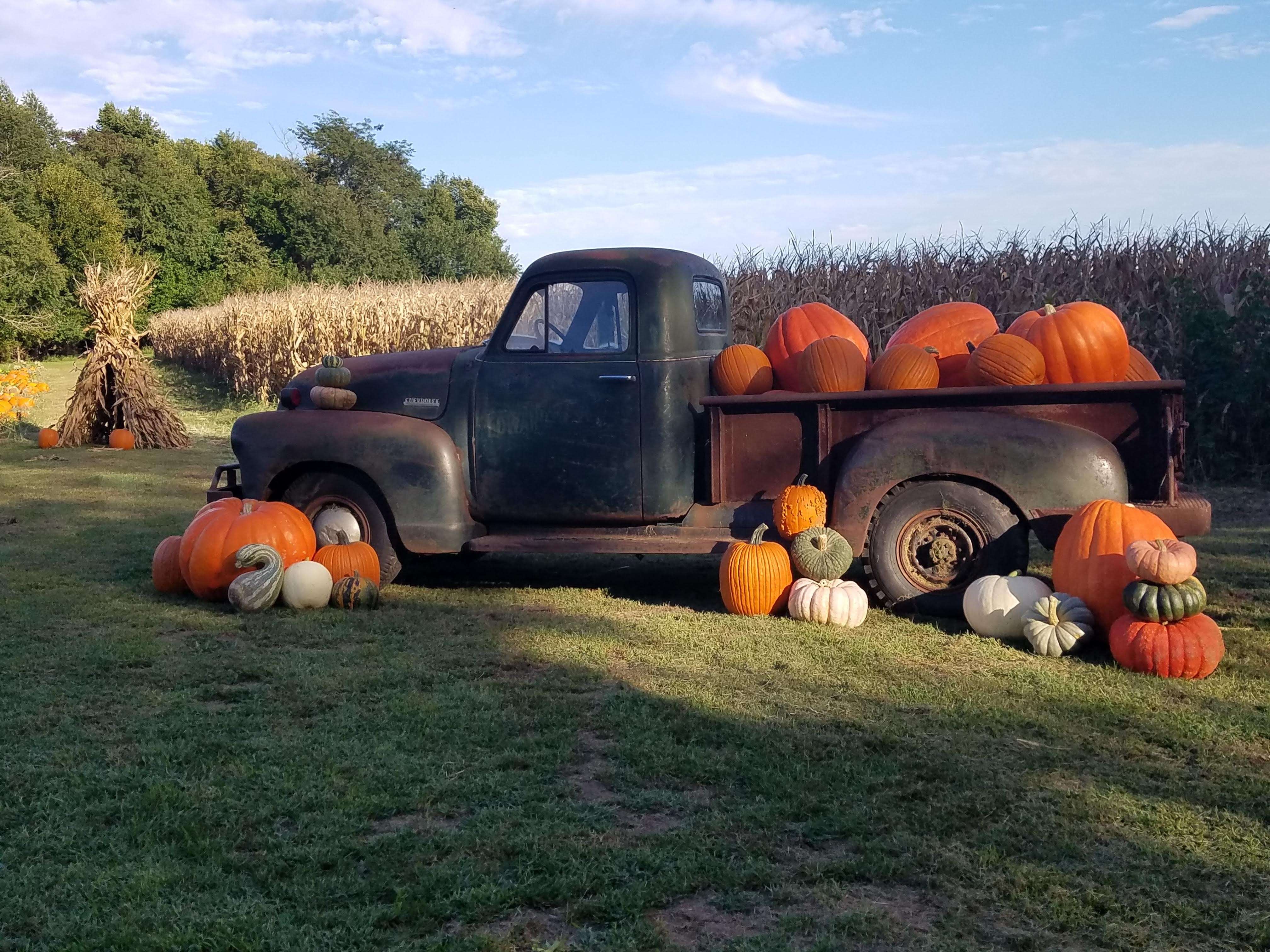 Brooks Farms | Enjoy Illinois