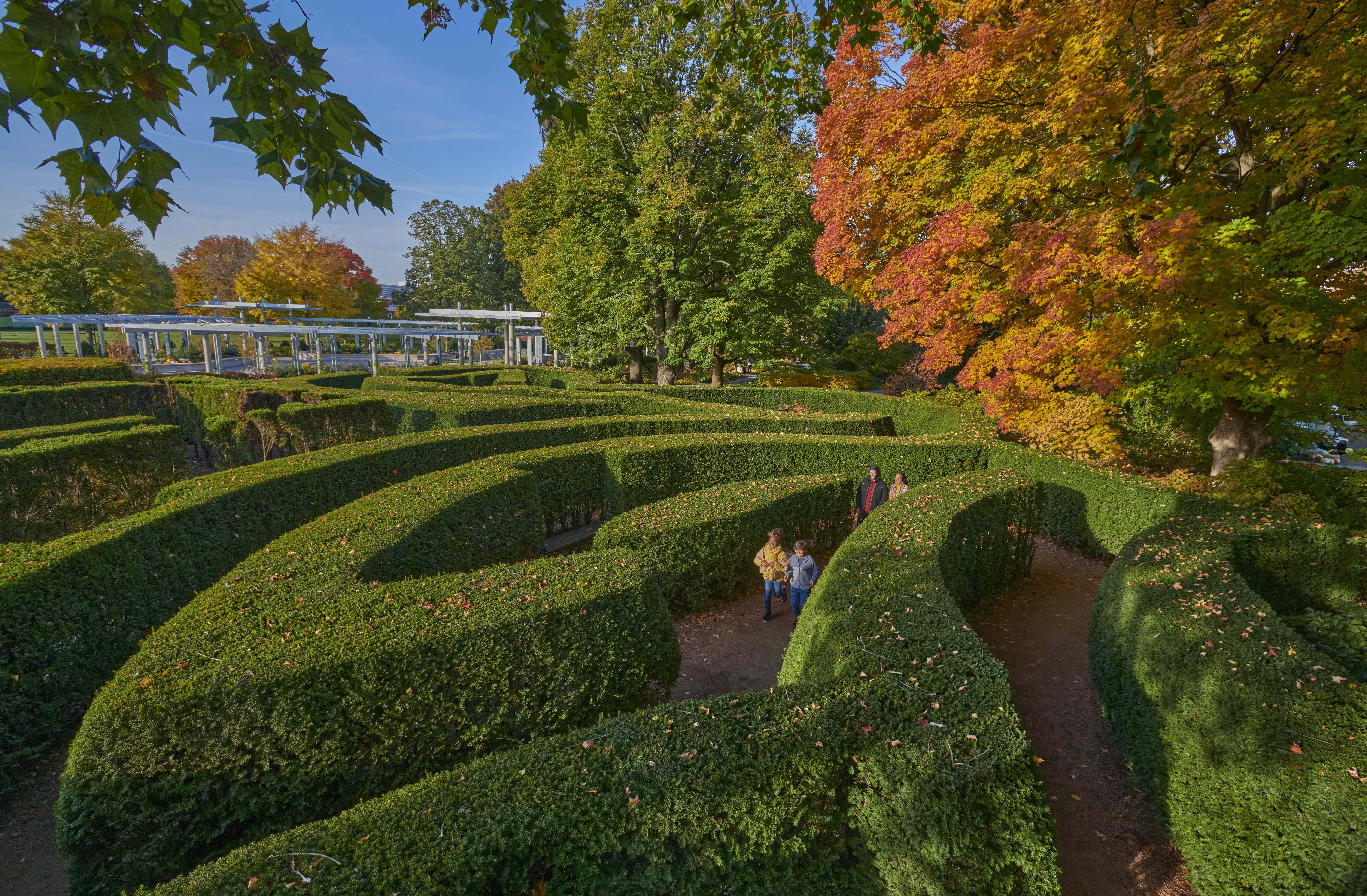 The Morton Arboretum - Lisle | Enjoy Illinois | Enjoy Illinois