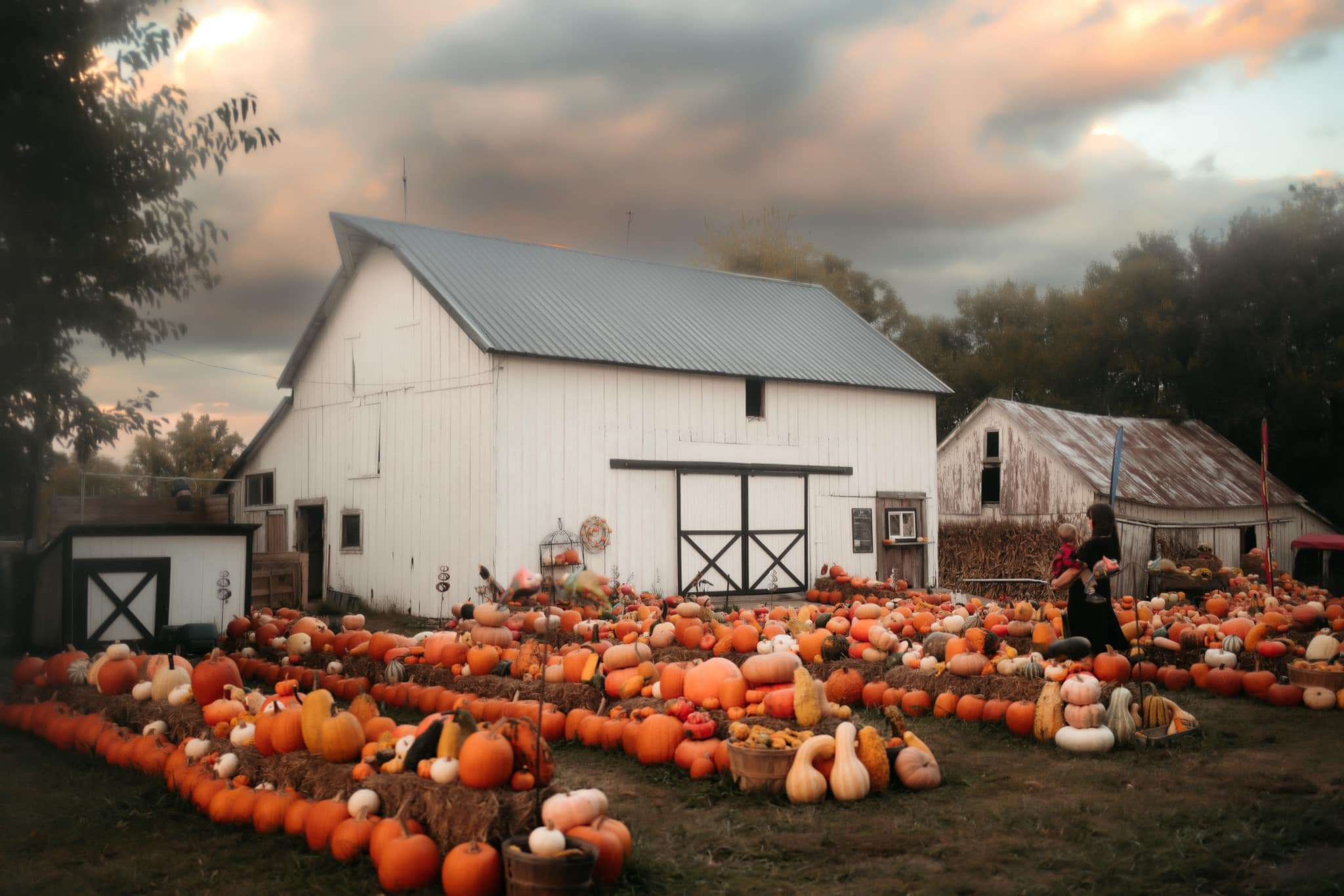Pumpkin Patch & Fall Fun at the Farm | Enjoy Illinois