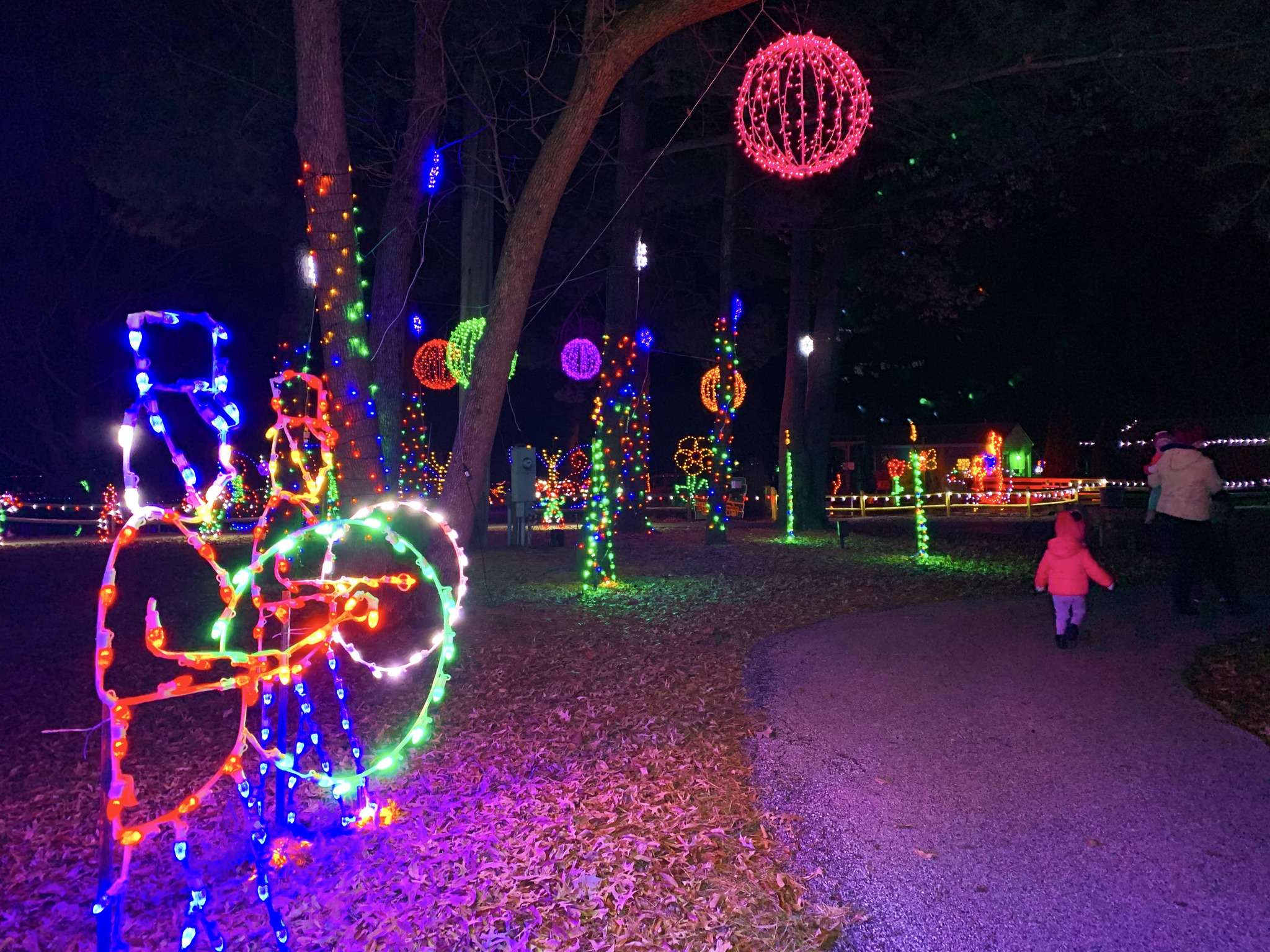Zoo Lights at The Henson Robinson Zoo | Enjoy Illinois