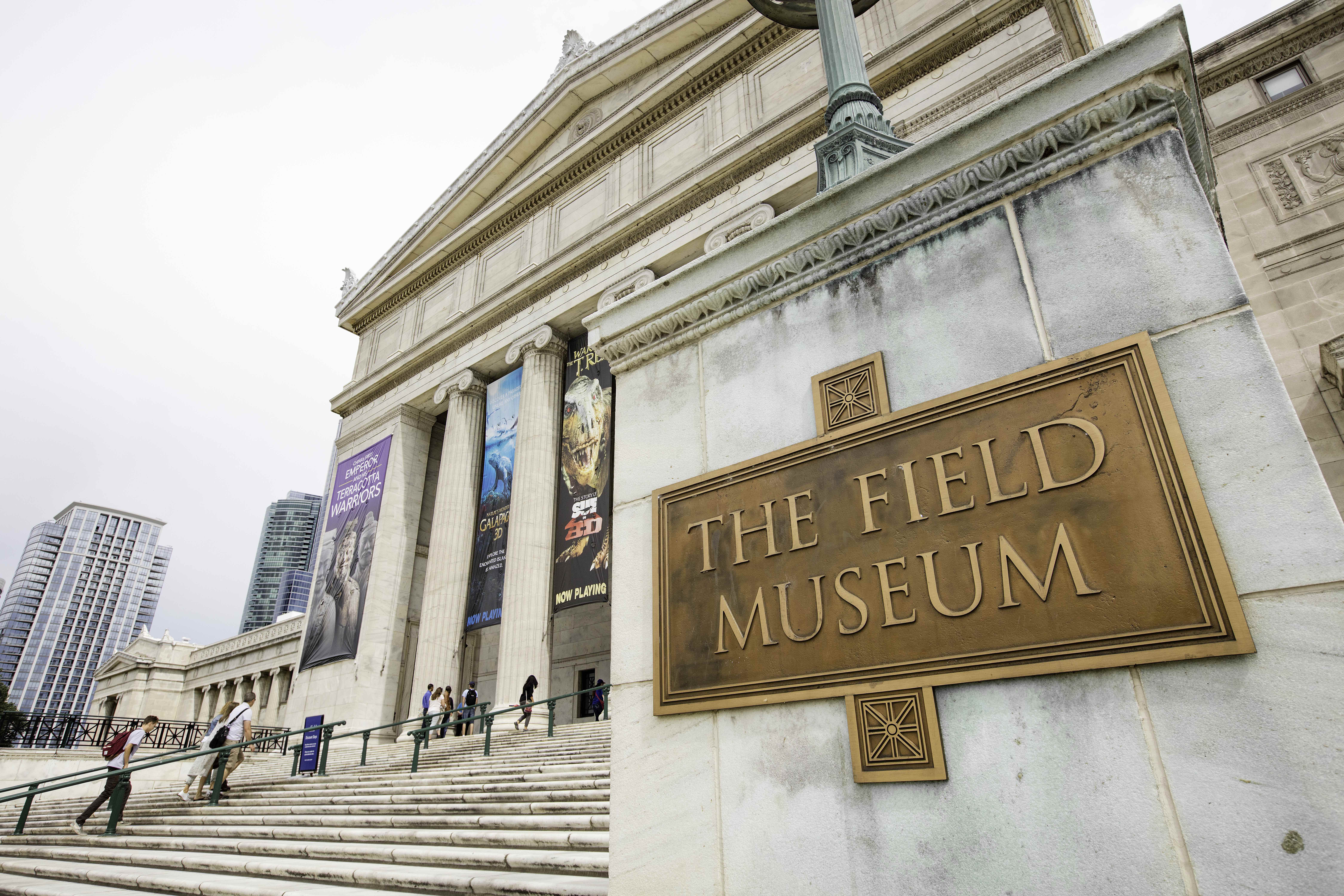 The Field Museum | Enjoy Illinois | Enjoy Illinois