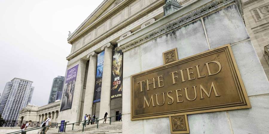 The Field Museum | Enjoy Illinois | Enjoy Illinois