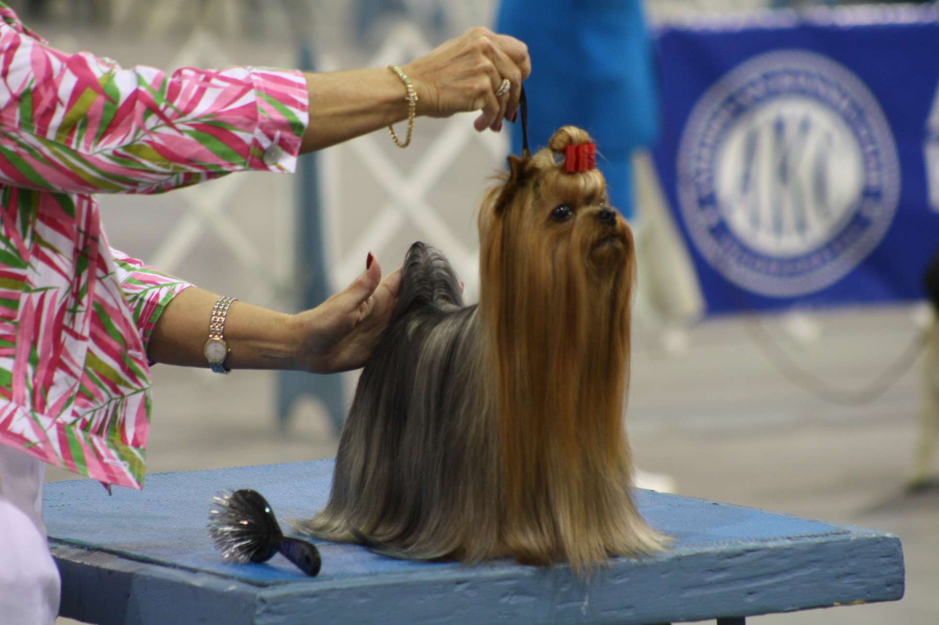 Crab Orchard Kennel Club AKC Dog Show | Enjoy Illinois