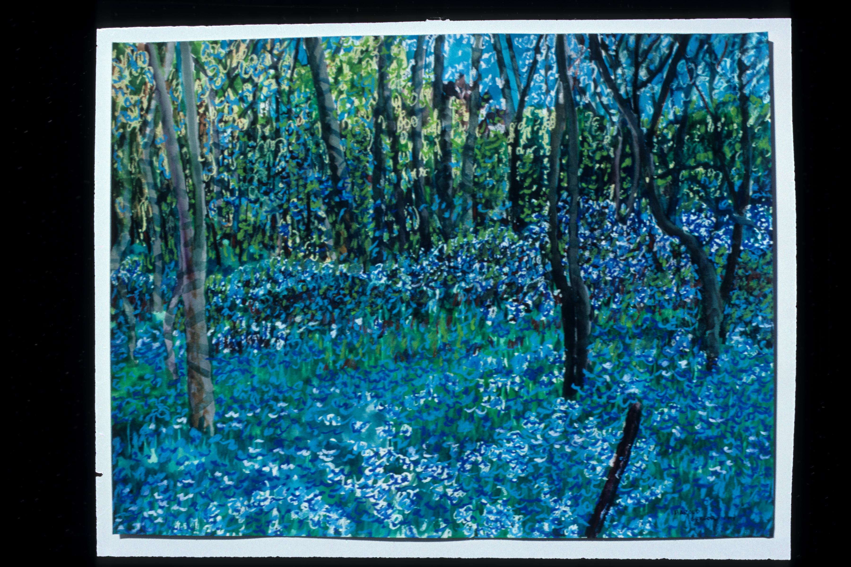 Harold Gregor Gallery | Enjoy Illinois