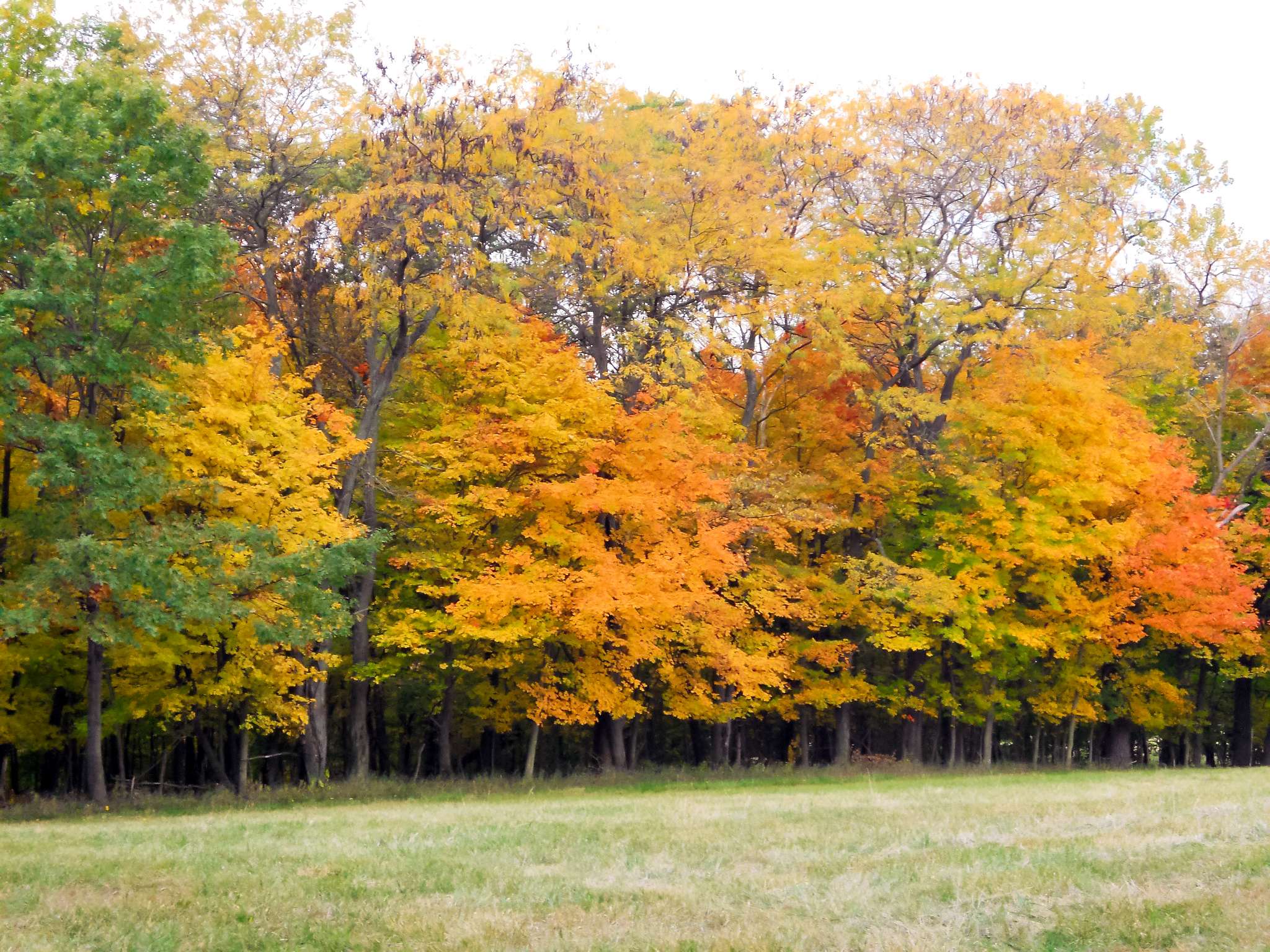 Catlin Park | Enjoy Illinois