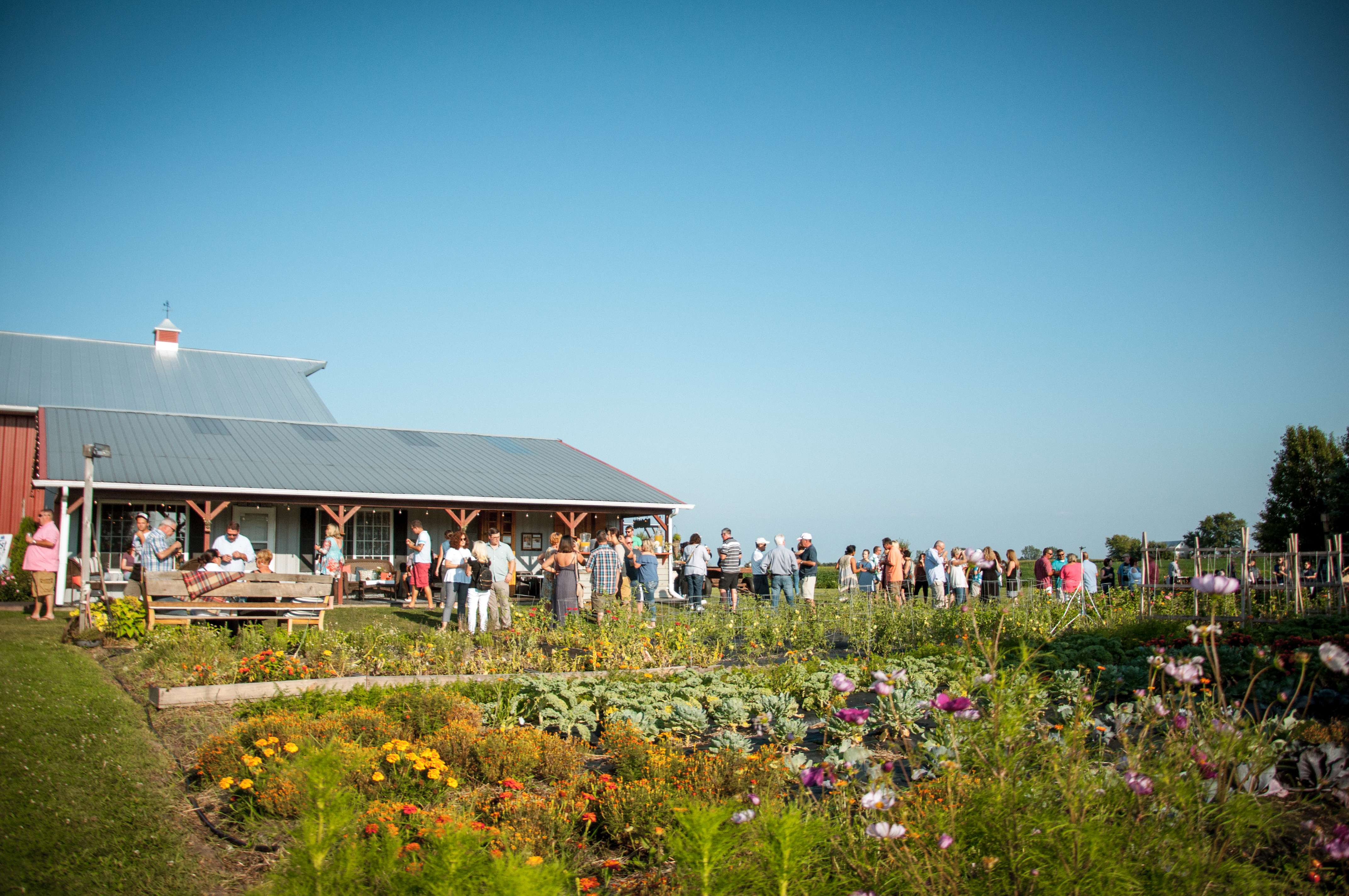 Locavore Farm | Enjoy Illinois | Enjoy Illinois