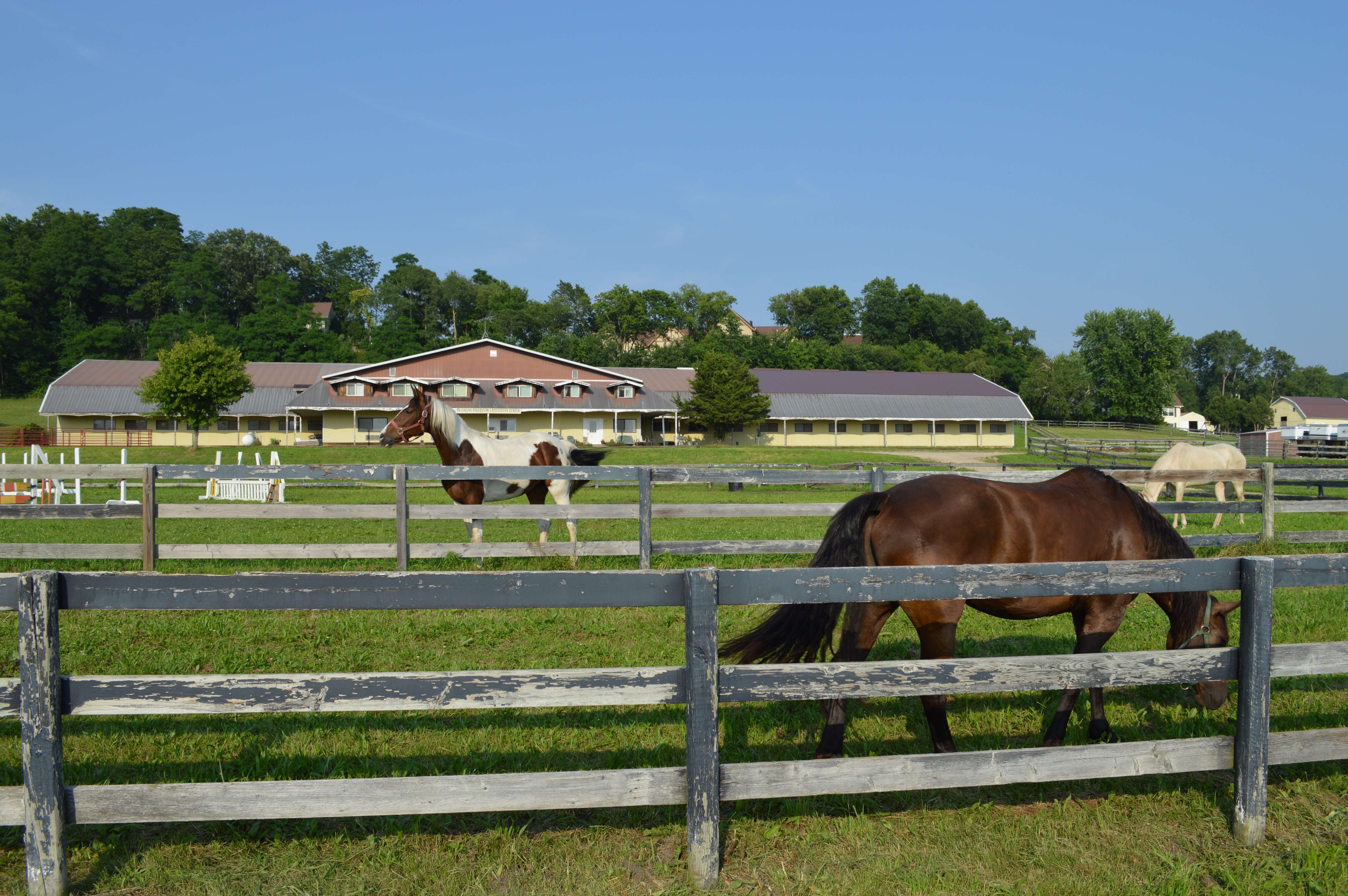 Riverview Ranch and Resort | Enjoy Illinois