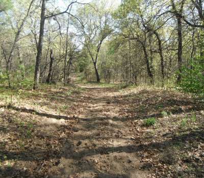 Sand Ridge State Forest | Enjoy Illinois | Enjoy Illinois