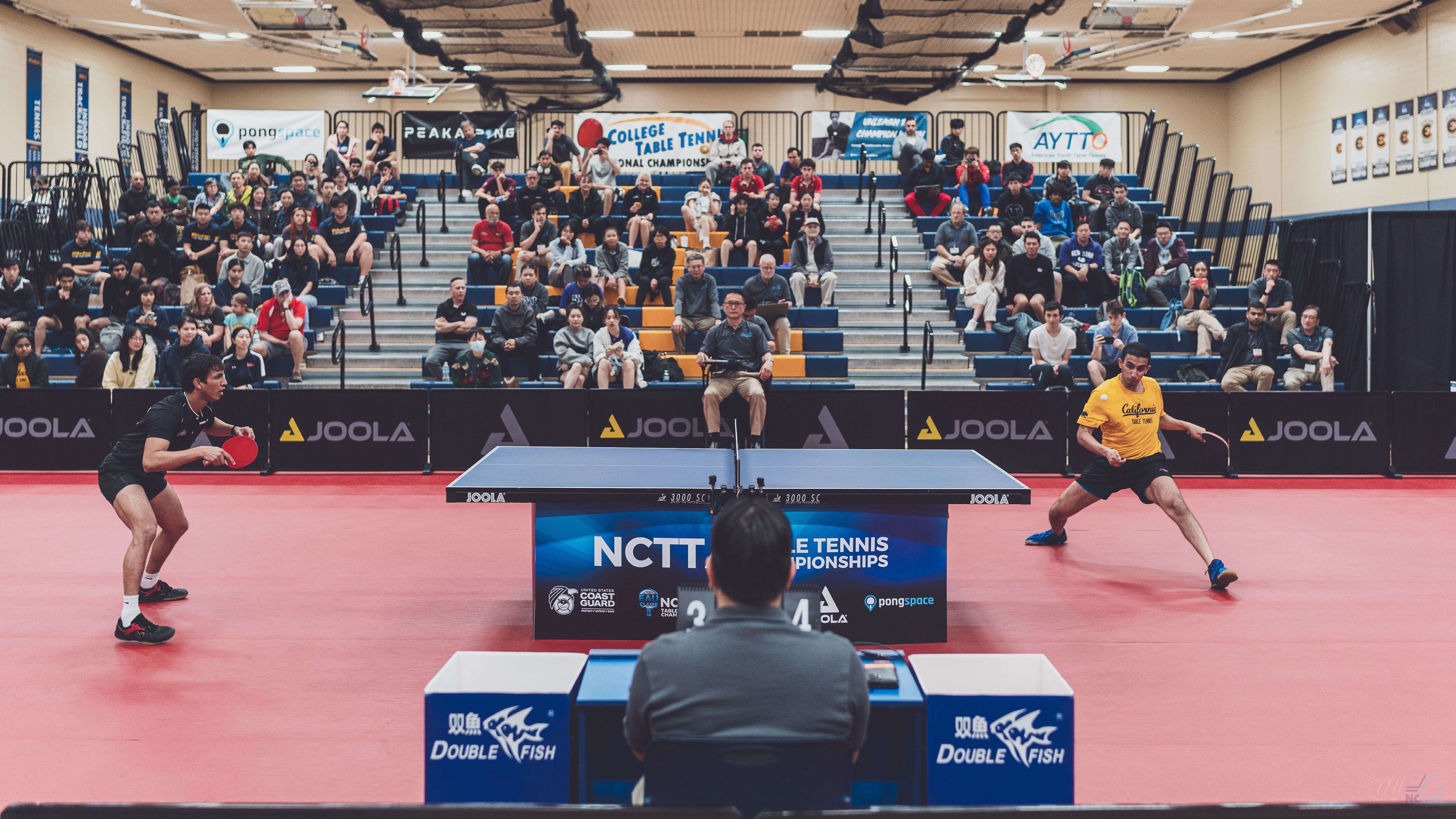 2025 College Table Tennis National Championships | Enjoy Illinois