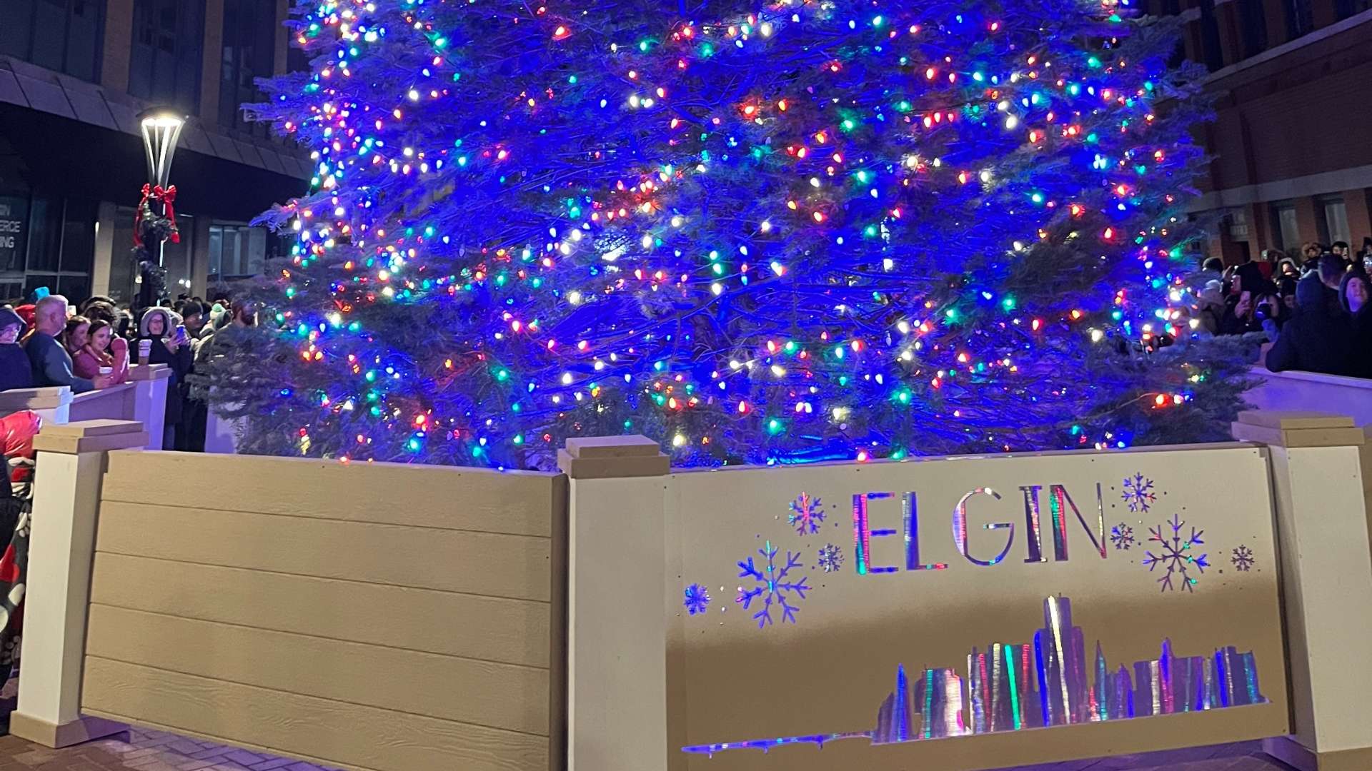Elgin Tree Lighting Ceremony | Enjoy Illinois