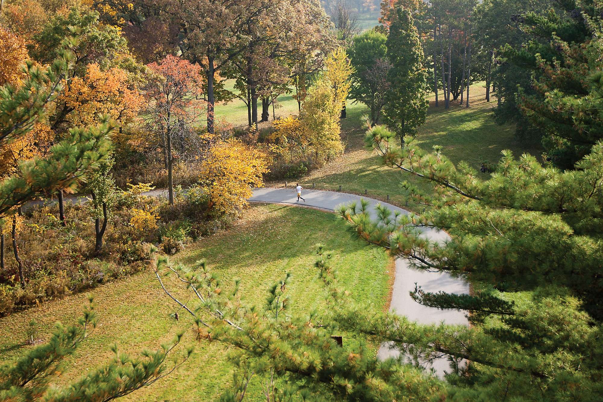 Fall Color 5K Run and Walk | Enjoy Illinois