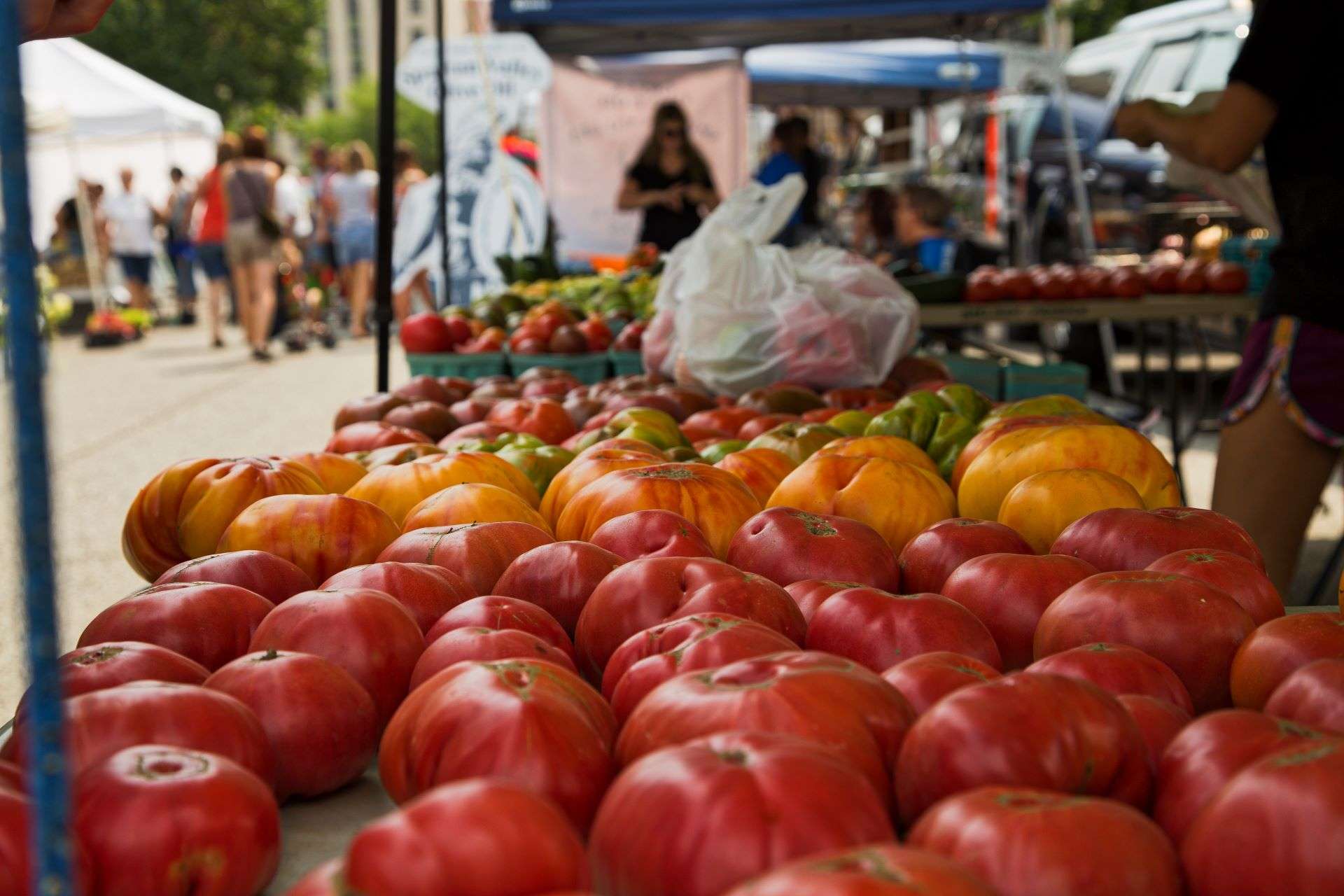 Old Capitol Farmers' Market in Downtown Springfield | Enjoy Illinois
