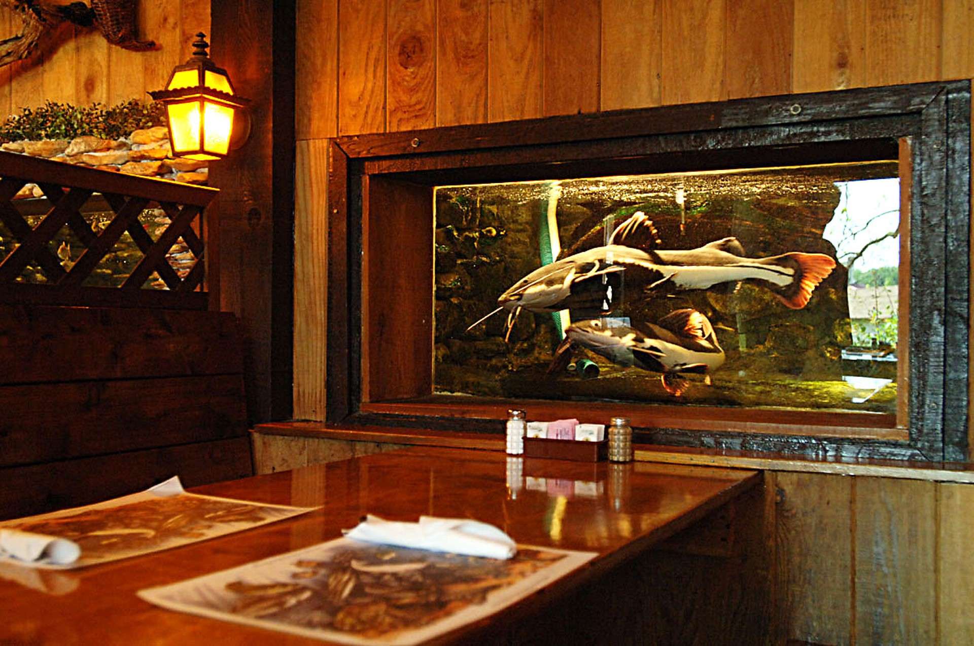 Fin Inn | Enjoy Illinois