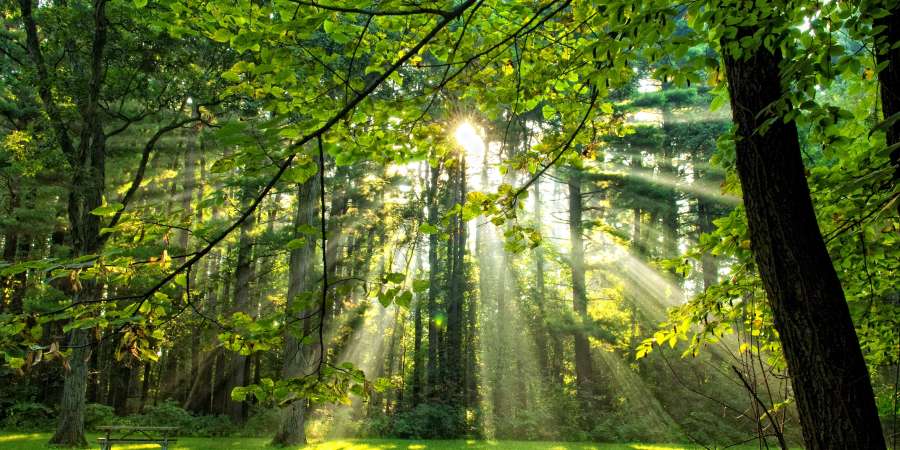 Forest Preserves of Winnebago County | Enjoy Illinois