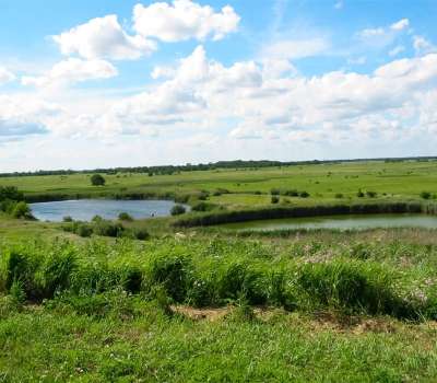 Goose Lake Prairie State Natural Area | Enjoy Illinois | Enjoy Illinois