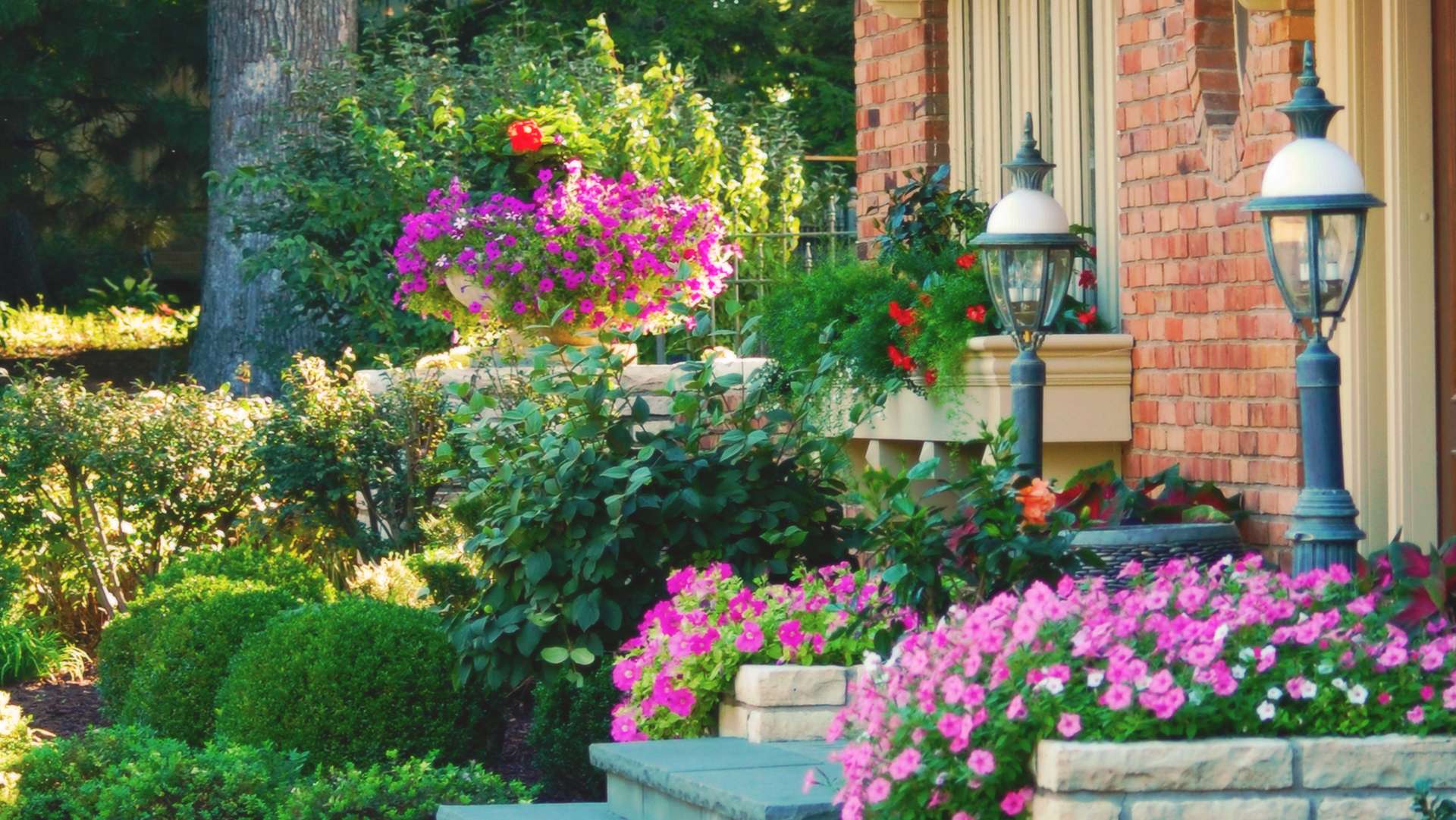 Green View Nursery Springfield Il