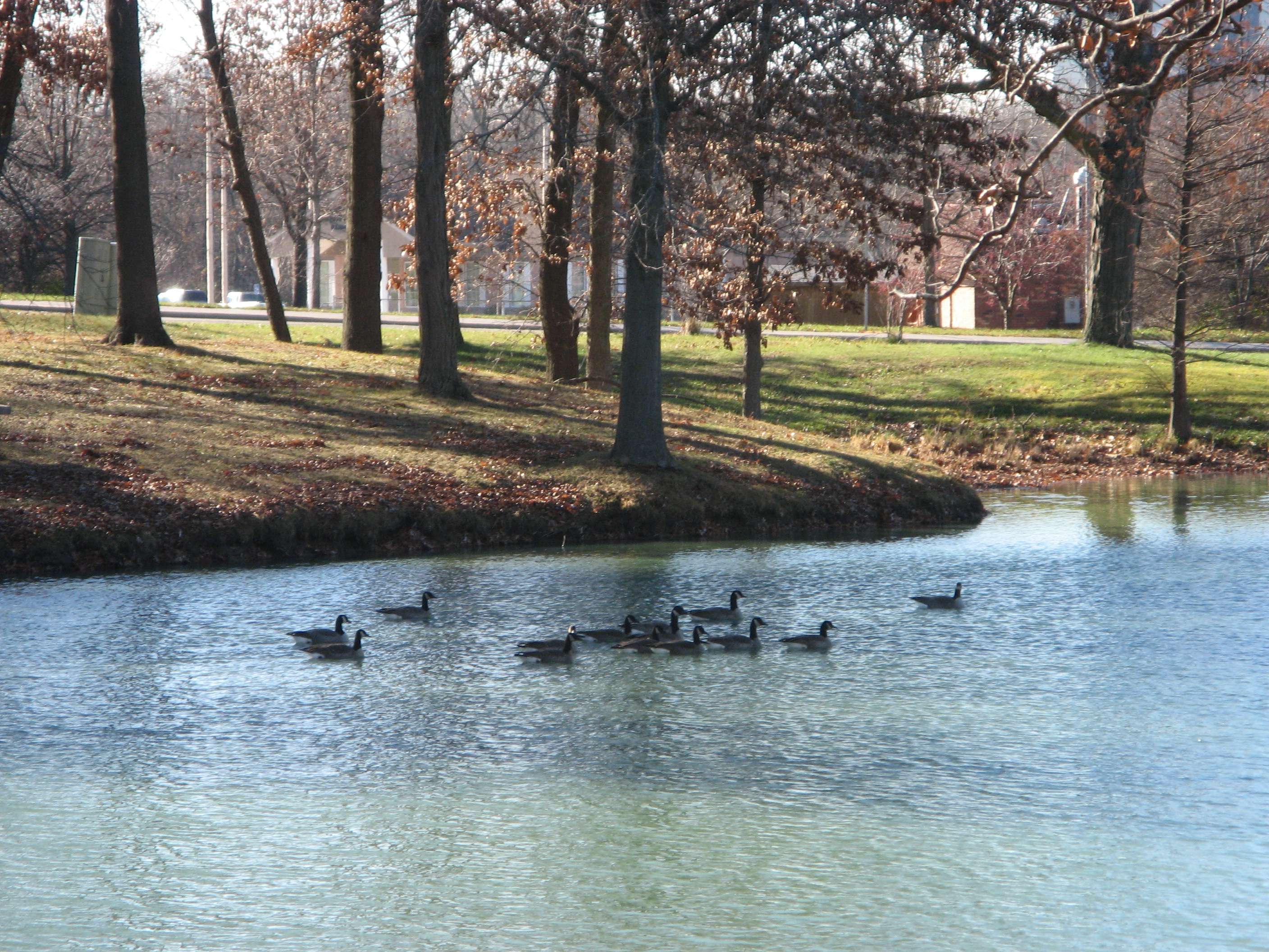 Horn Field Campus | Enjoy Illinois