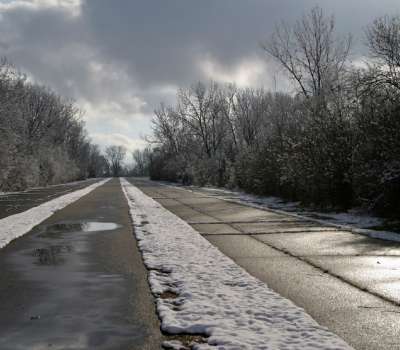 Raceway Woods | Enjoy Illinois