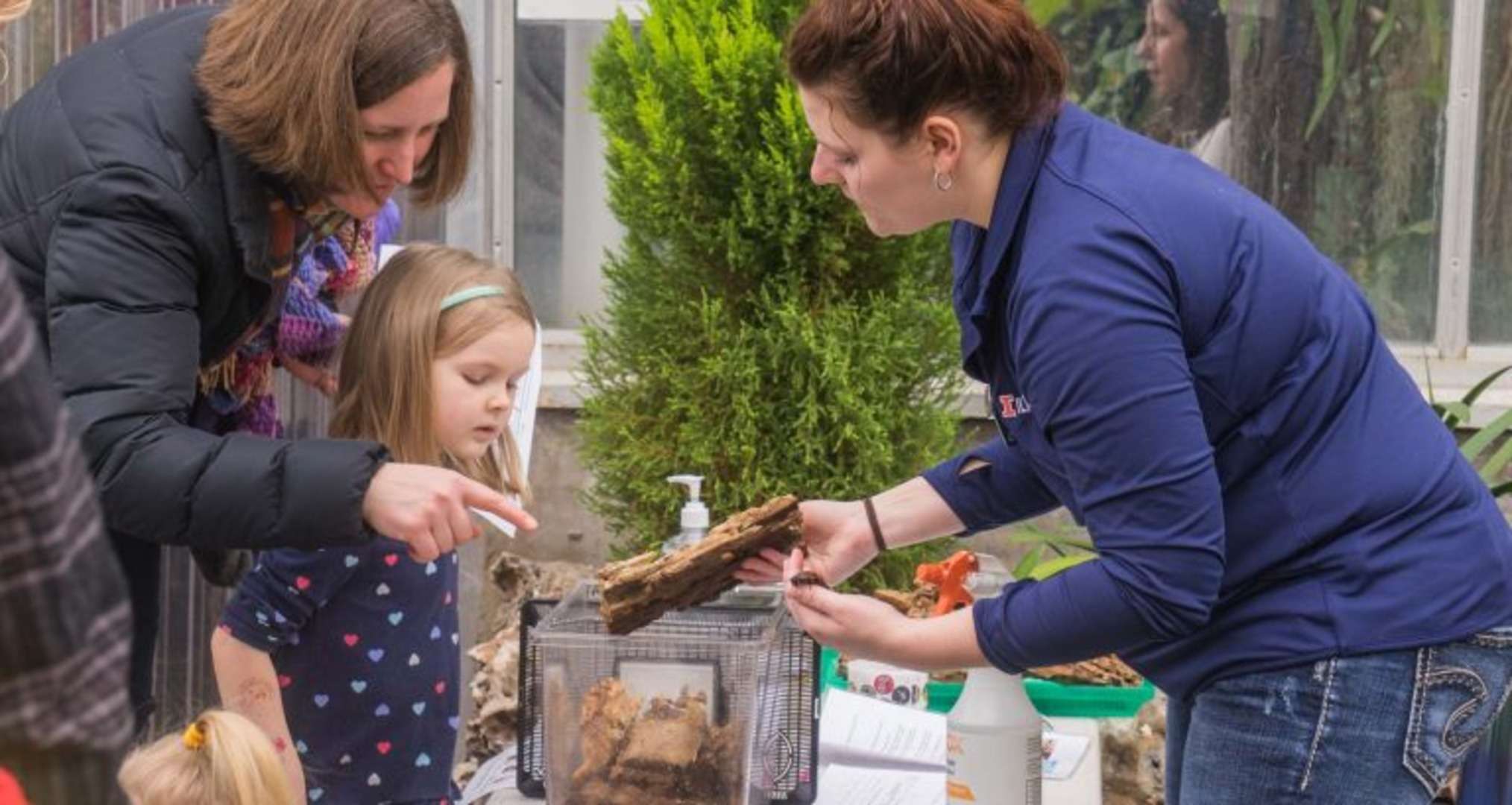 Kidsfest | Enjoy Illinois