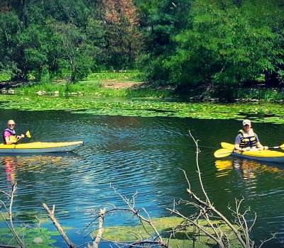 Lake Katherine Nature Center | Enjoy Illinois