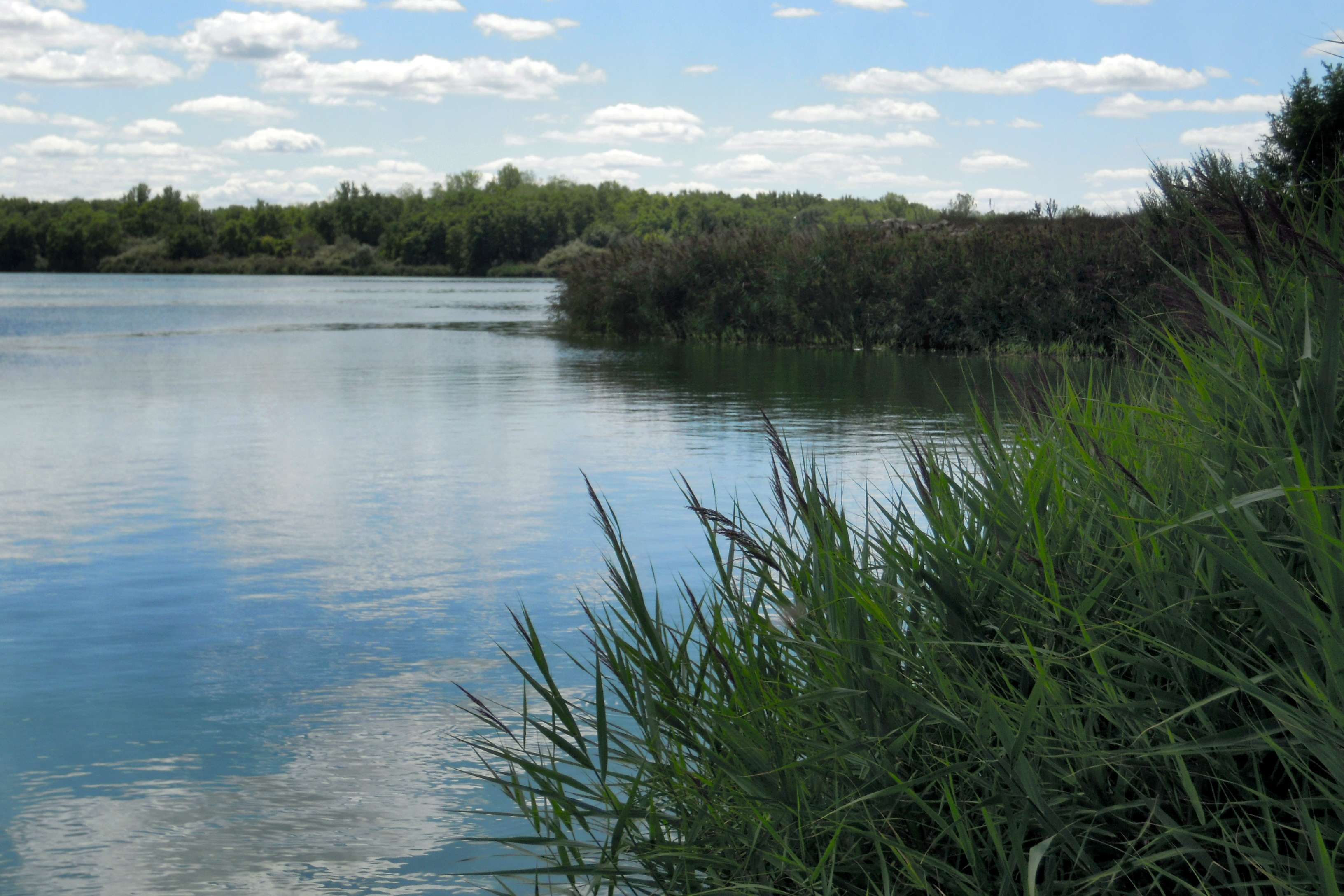 Mazonia-Braidwood State Fish & Wildlife Area | Enjoy Illinois | Enjoy ...