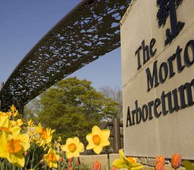 The Morton Arboretum - Lisle | Enjoy Illinois | Enjoy Illinois