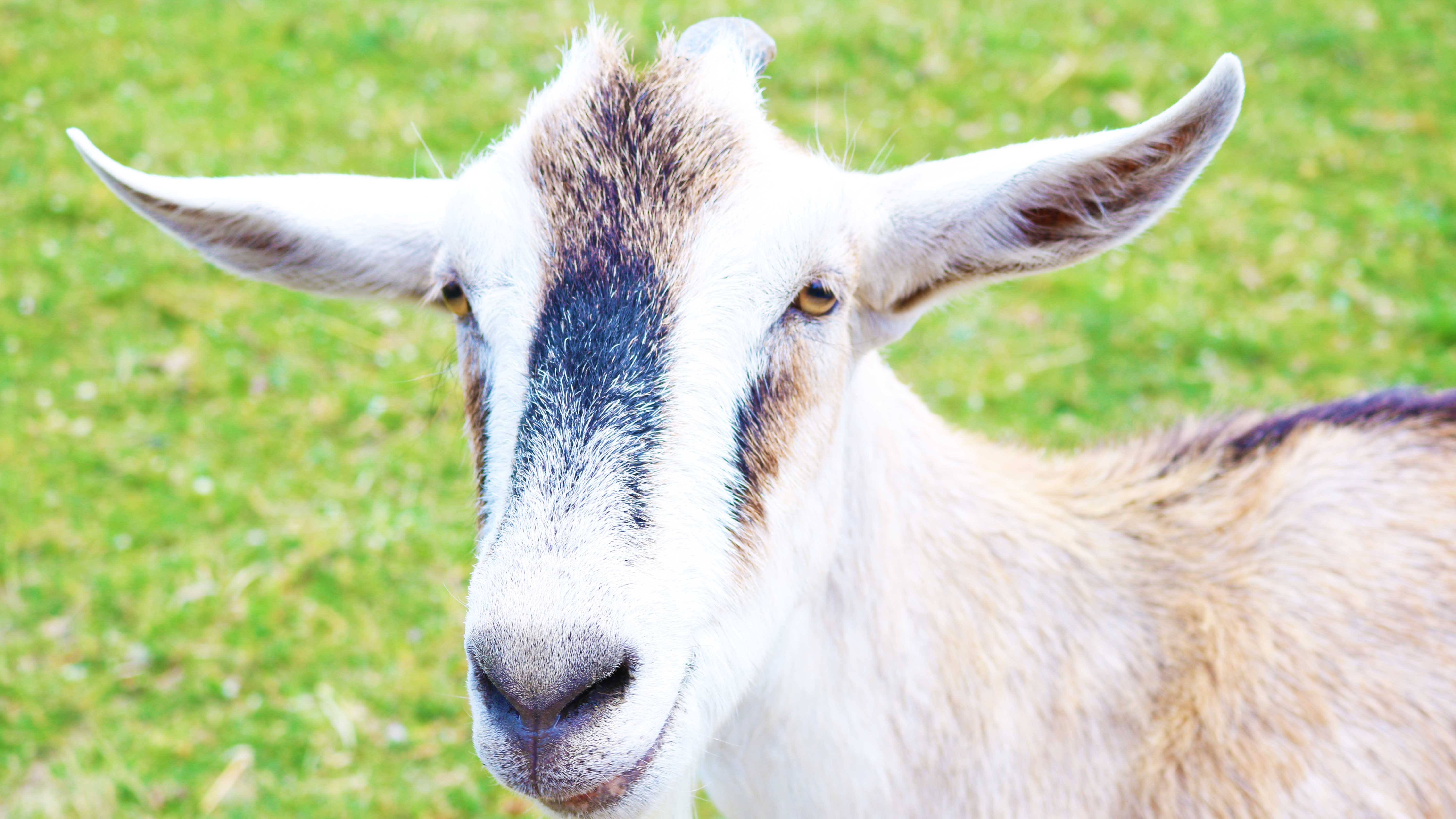 Perry Farm Park | Enjoy Illinois