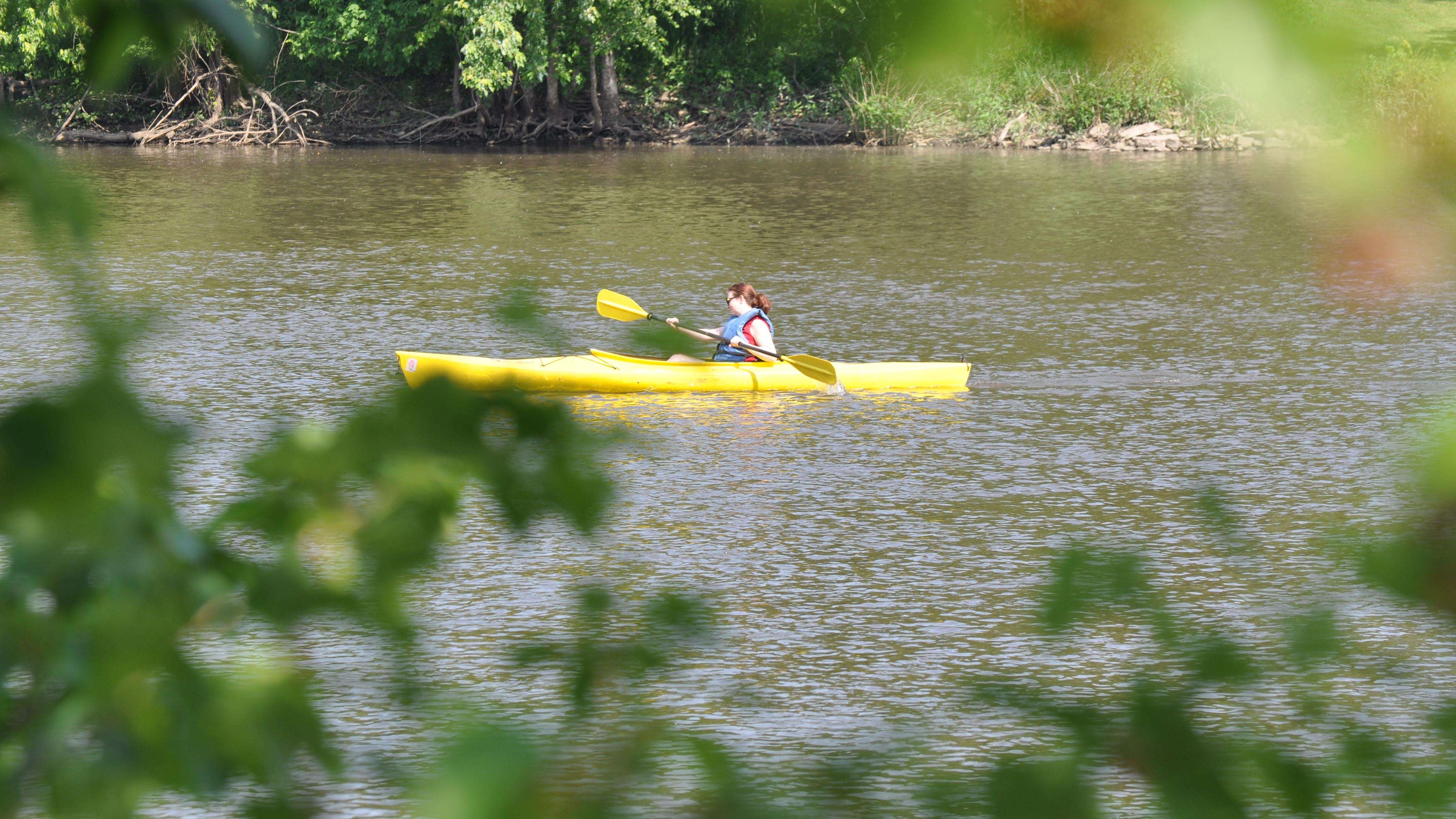 Reed's Canoe Trips | Enjoy Illinois