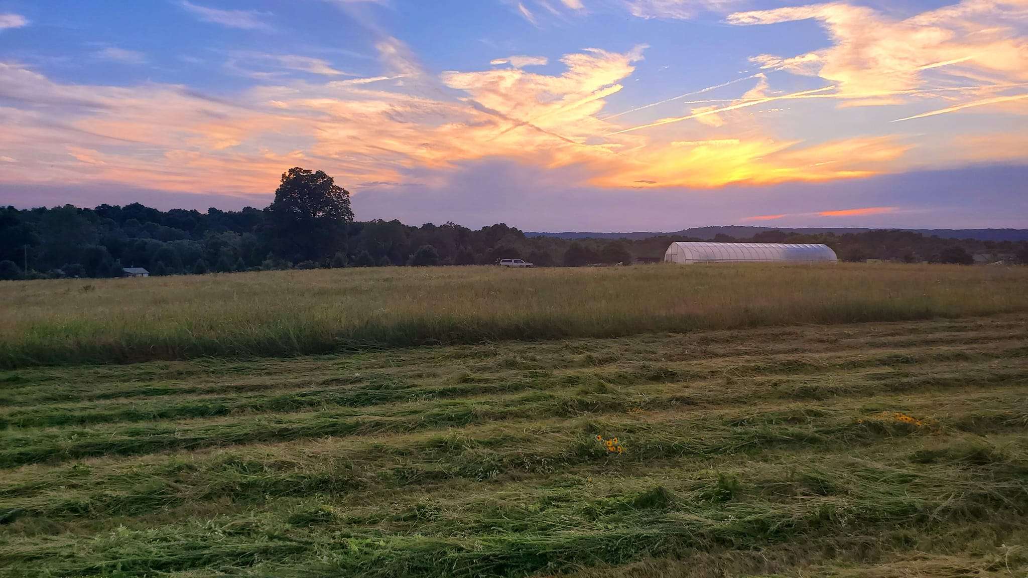 Solar Eclipse and Farm dinner | Enjoy Illinois