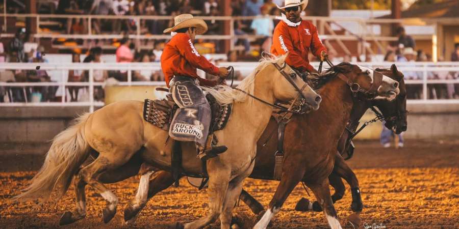 Gateway Grizzlies Rodeo | Enjoy Illinois