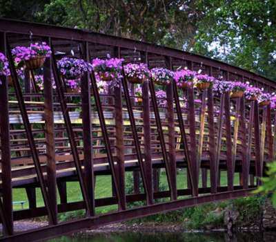 Momence Gladiolus Festival | Enjoy Illinois