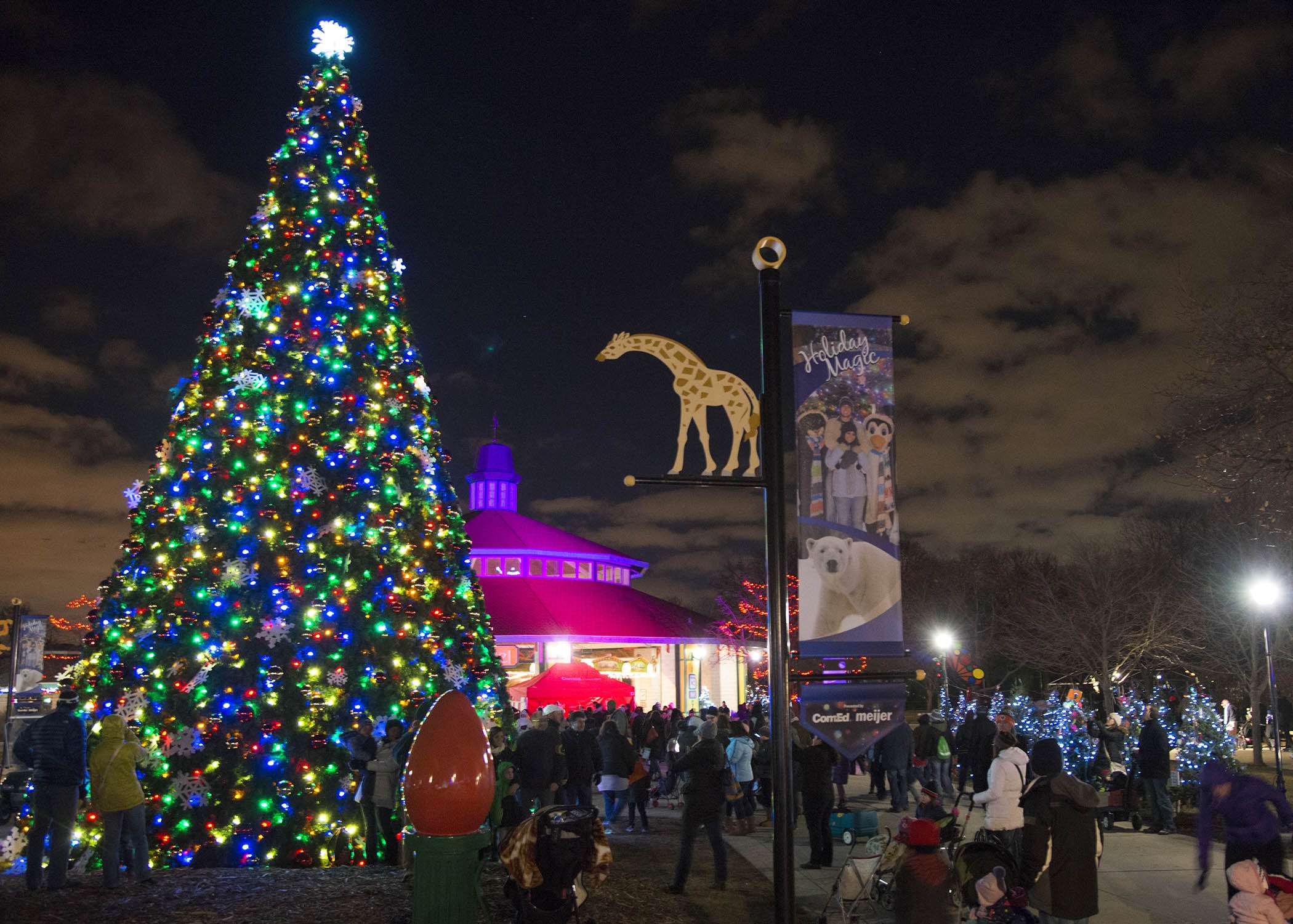 Brookfield Zoo Chicago Holiday Magic | Enjoy Illinois