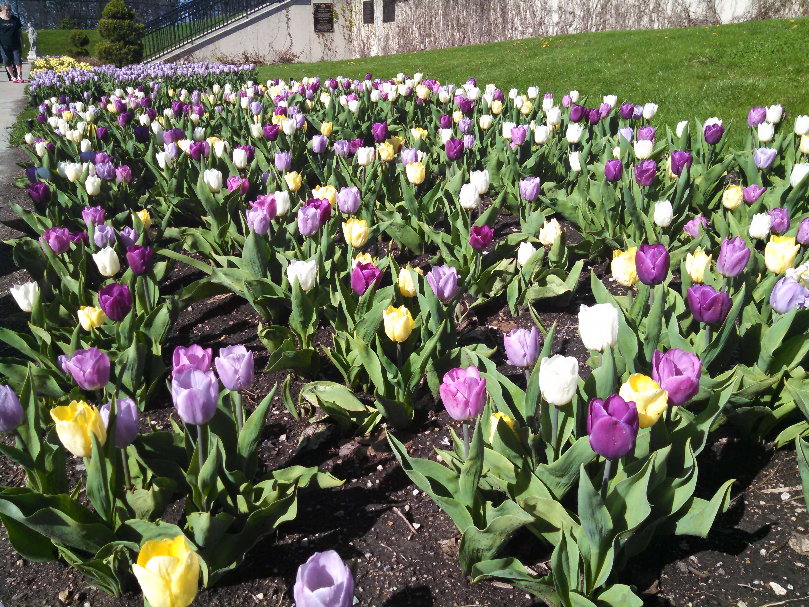 Phillips Park | Enjoy Illinois