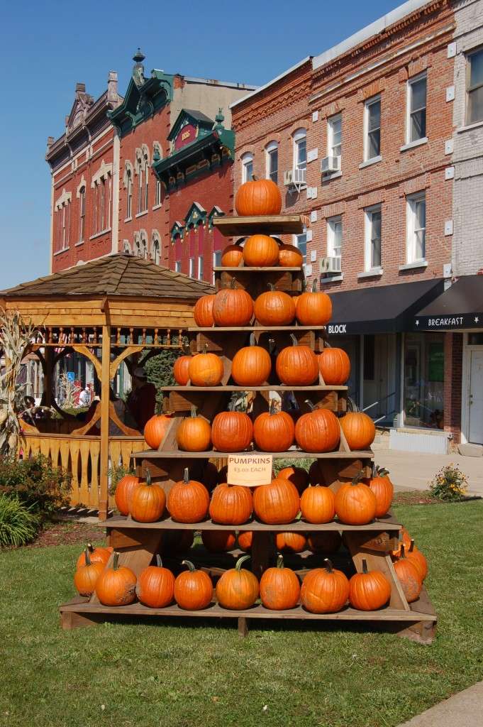 55th Annual Warren Pumpkin Festival | Enjoy Illinois