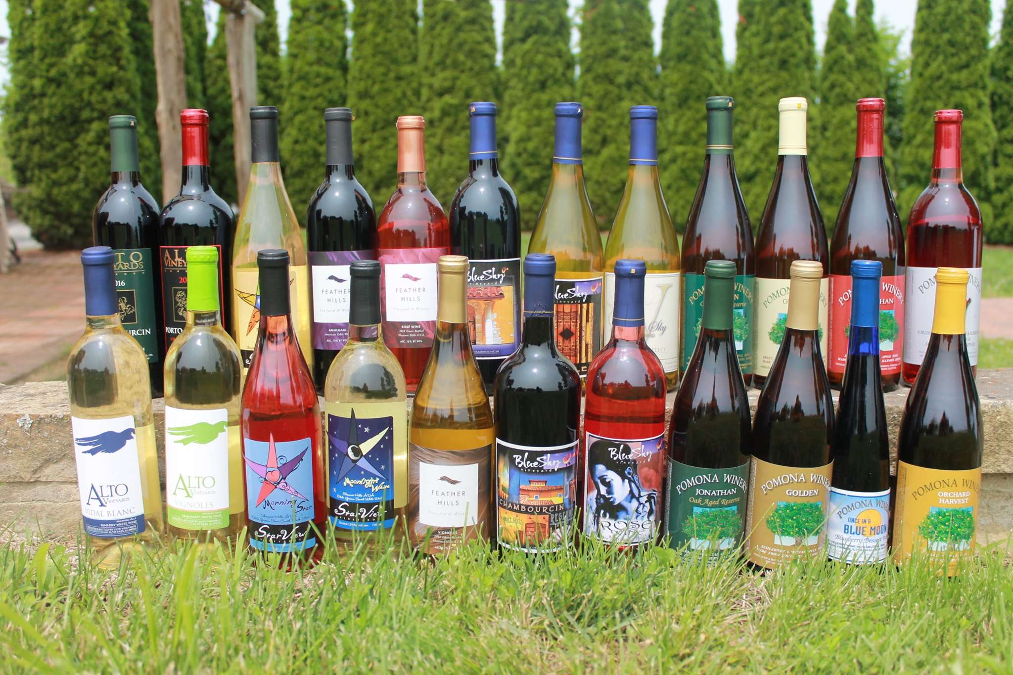 Shawnee Hills Wine Trail check in challenge | Enjoy Illinois