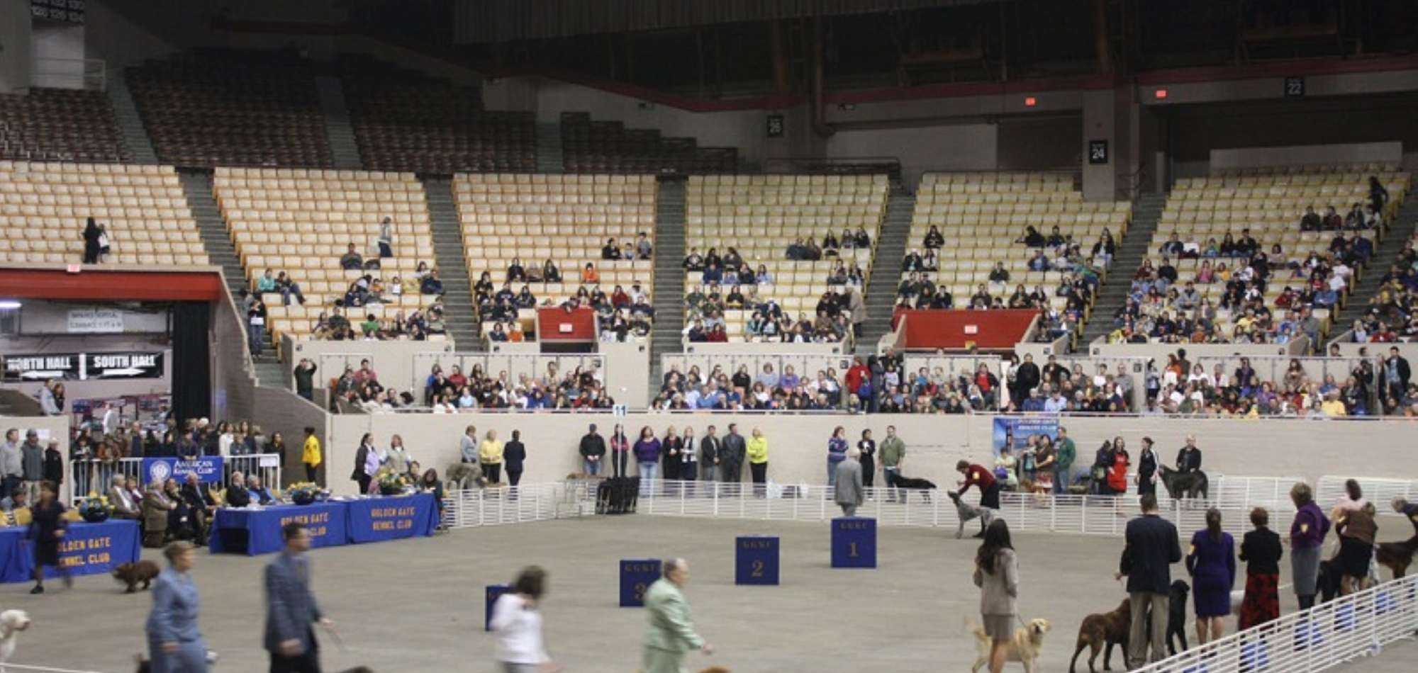 All Breeds Dog Show | Enjoy Illinois