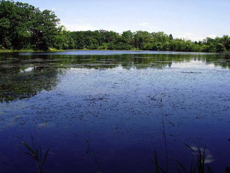 Beverly Lake Forest Preserve | Enjoy Illinois | Enjoy Illinois