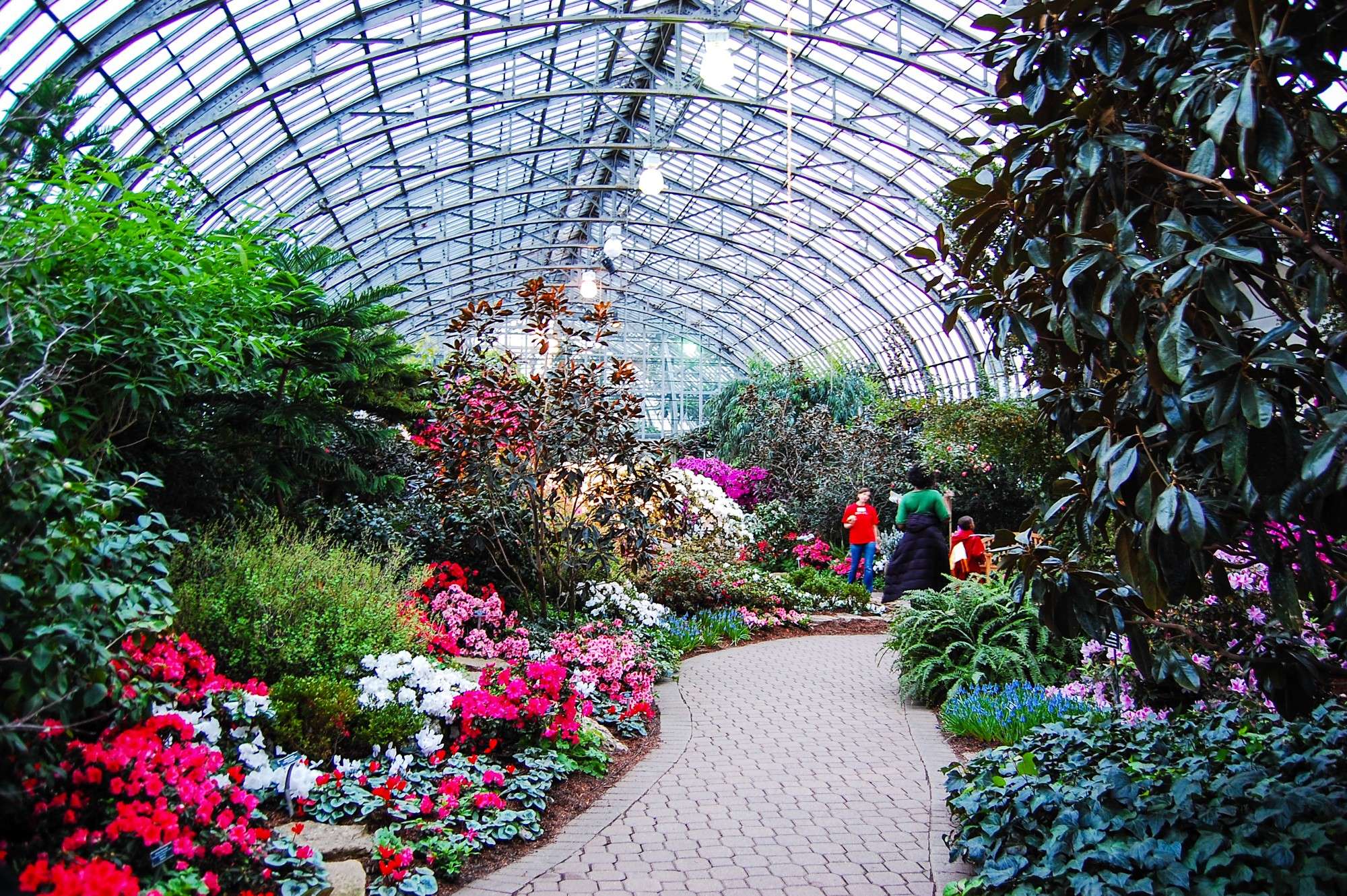 Garfield Park Conservatory Spring Flower Show | Enjoy Illinois | Enjoy ...