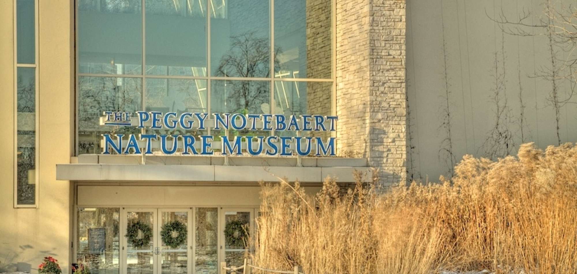 Peggy Notebaert Nature Museum | Enjoy Illinois