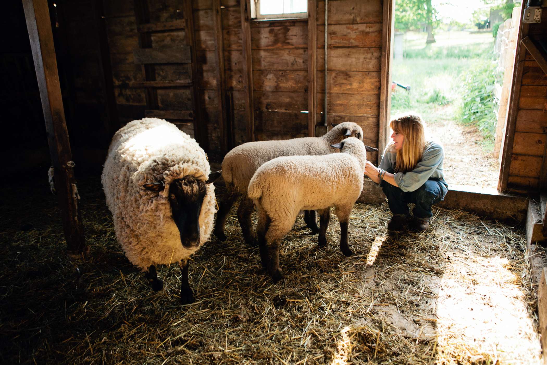 Primrose Farm | Enjoy Illinois | Enjoy Illinois