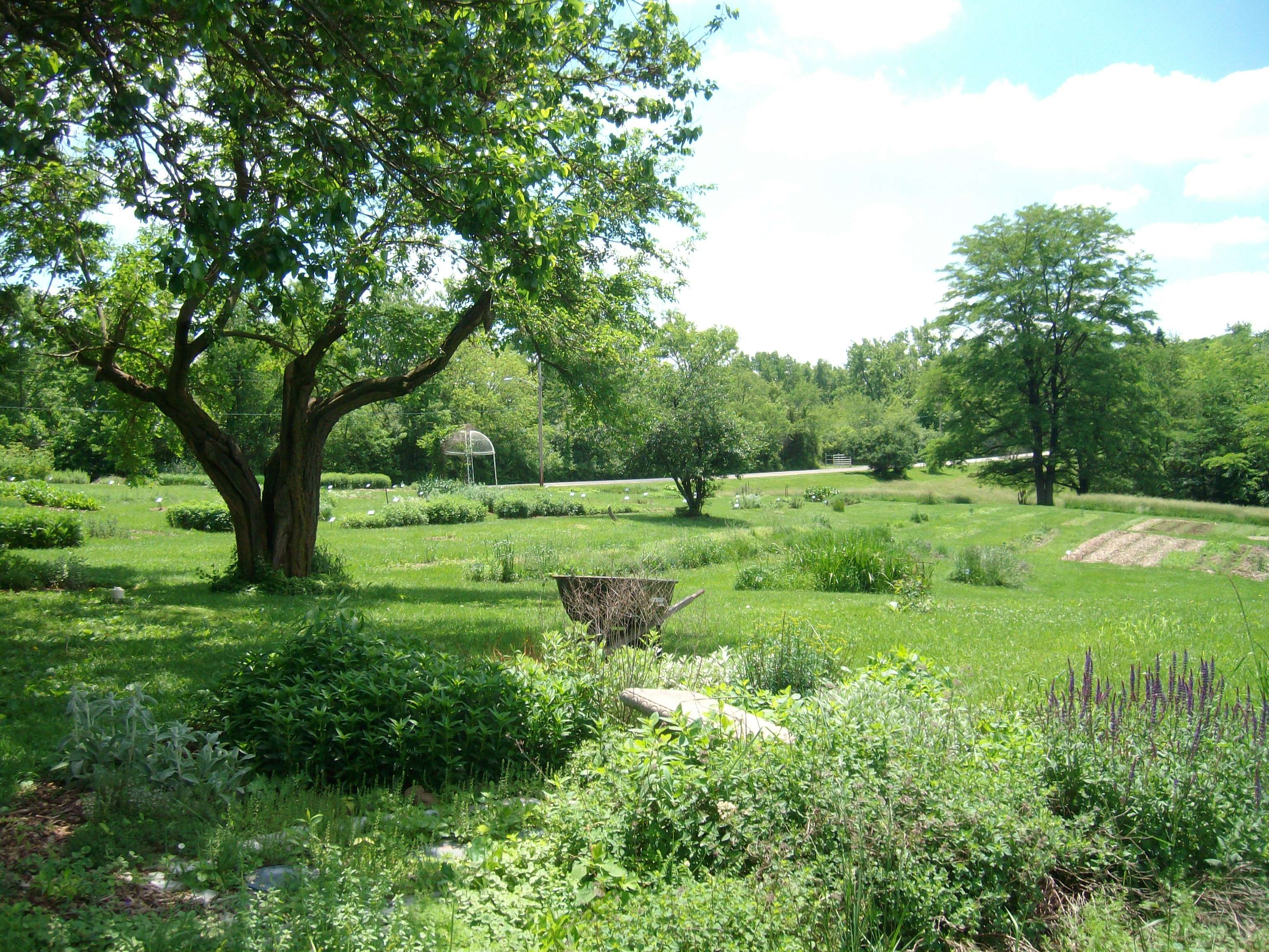 Mari-Mann Herb Farm | Enjoy Illinois