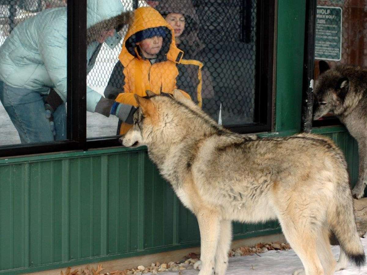 Phillips Park Zoo | Enjoy Illinois