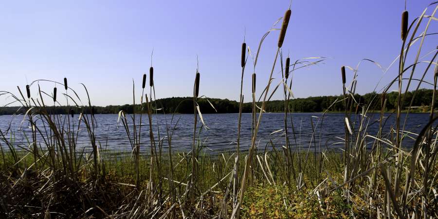 Devil's Kitchen Lake | Enjoy Illinois | Enjoy Illinois