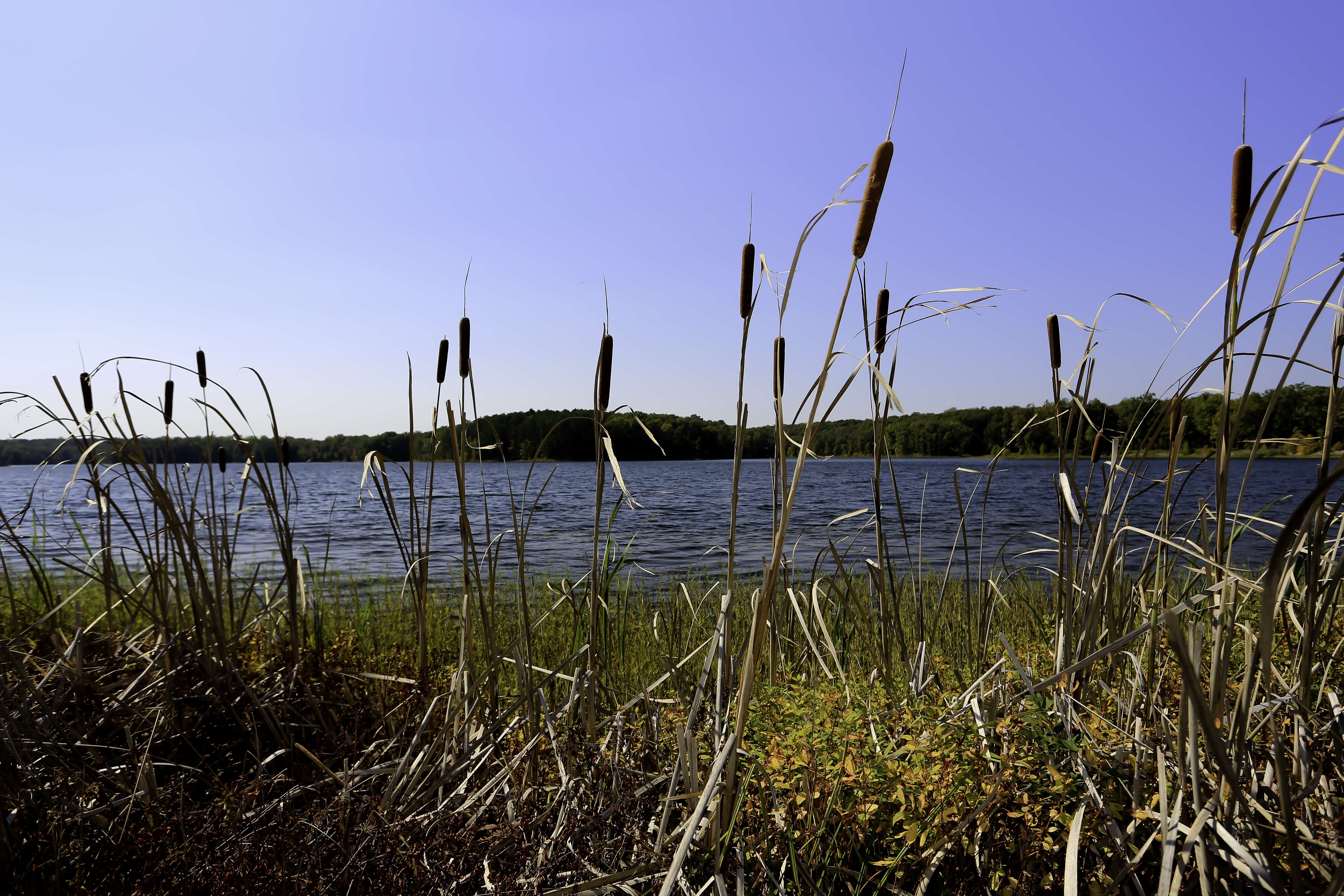 Devil's Kitchen Lake | Enjoy Illinois | Enjoy Illinois