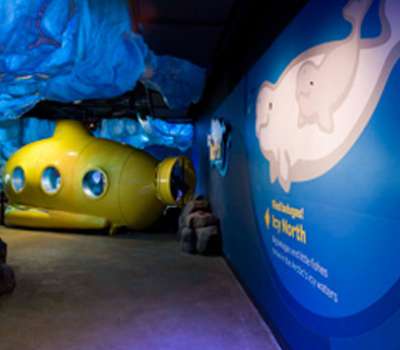 Polar Play Zone at Shedd Aquarium | Enjoy Illinois