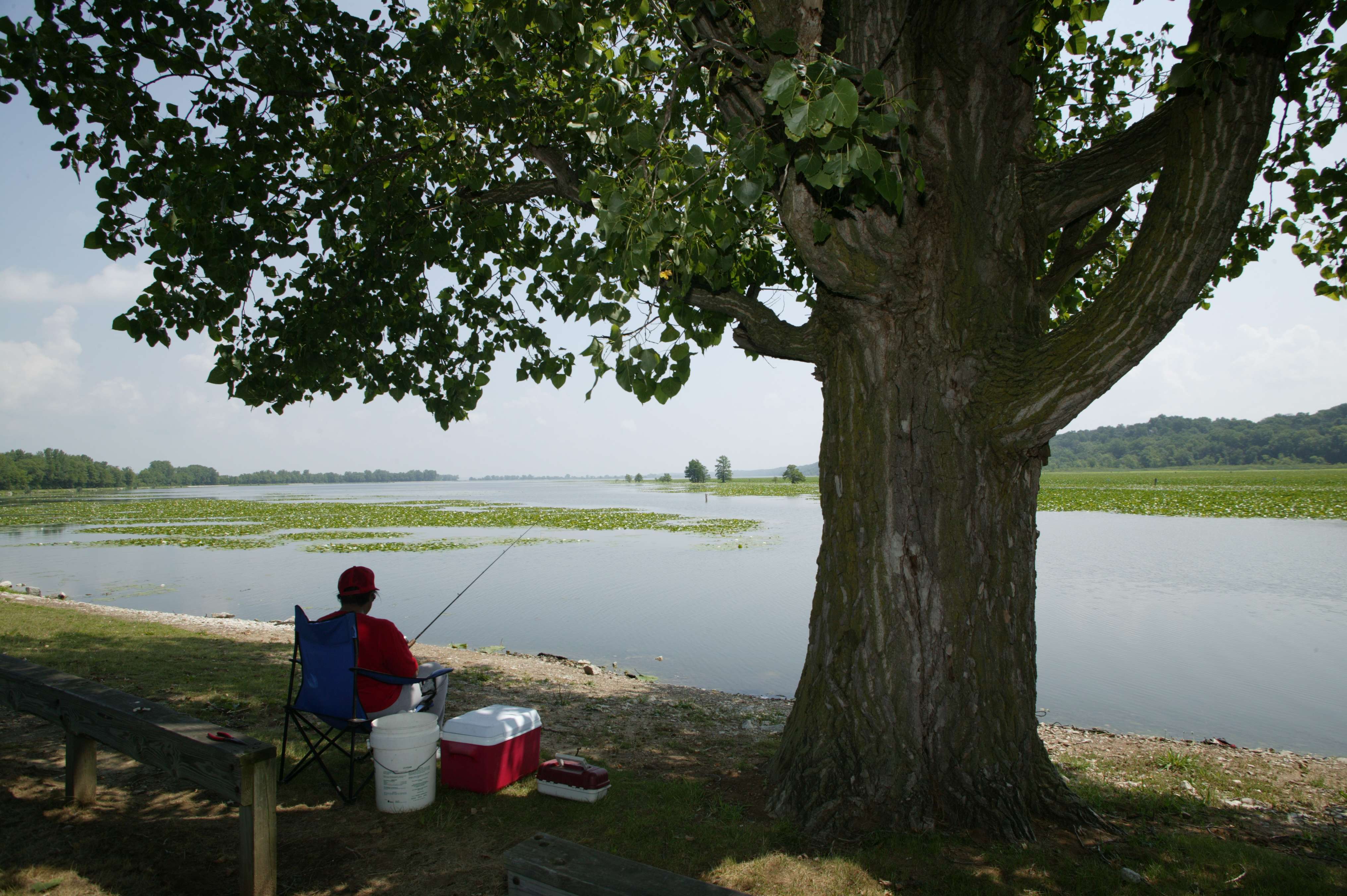 Spring Lake State Fish and Wildlife Area | Enjoy Illinois | Enjoy Illinois