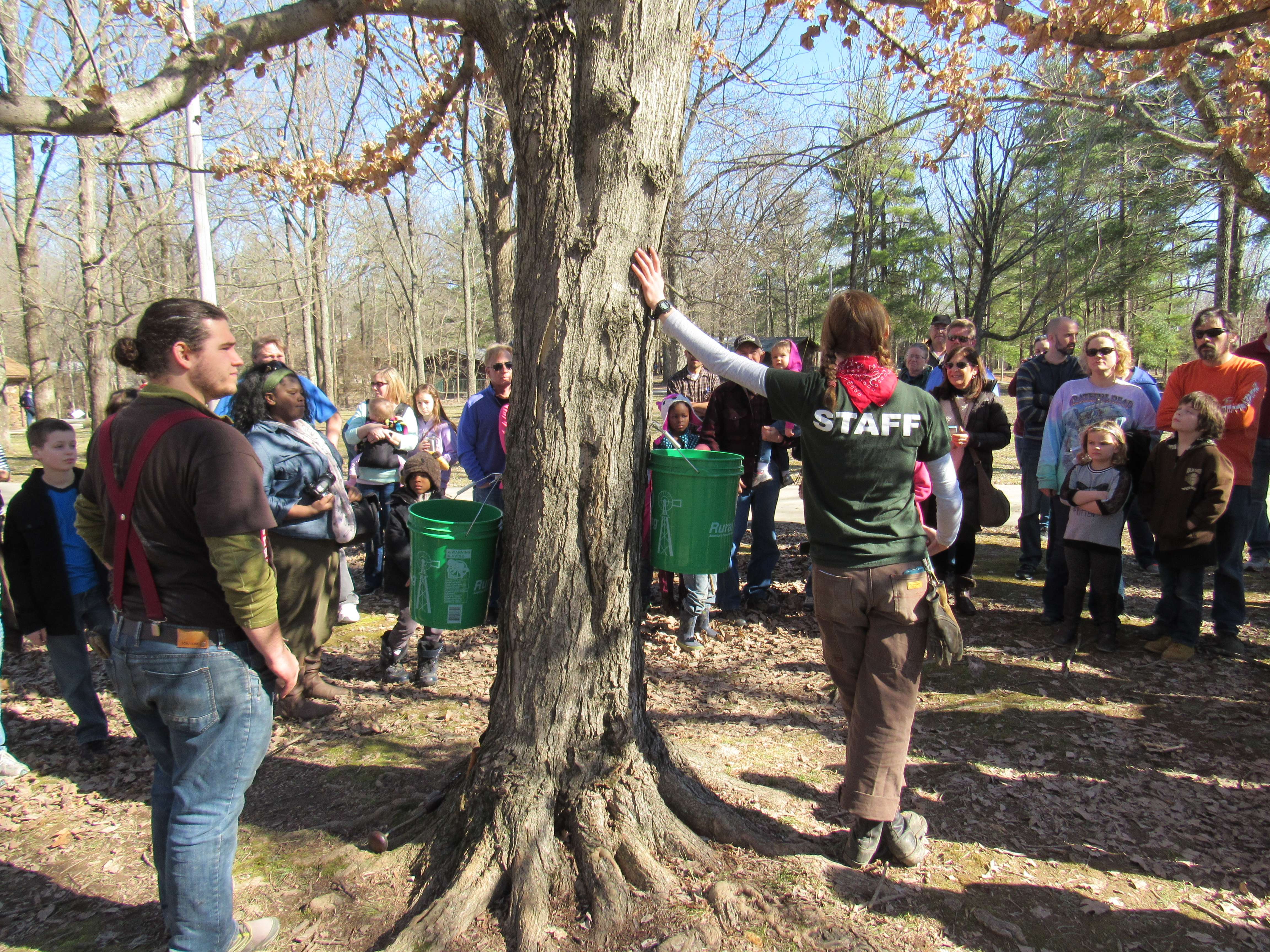 Maple Syrup Festival | Enjoy Illinois
