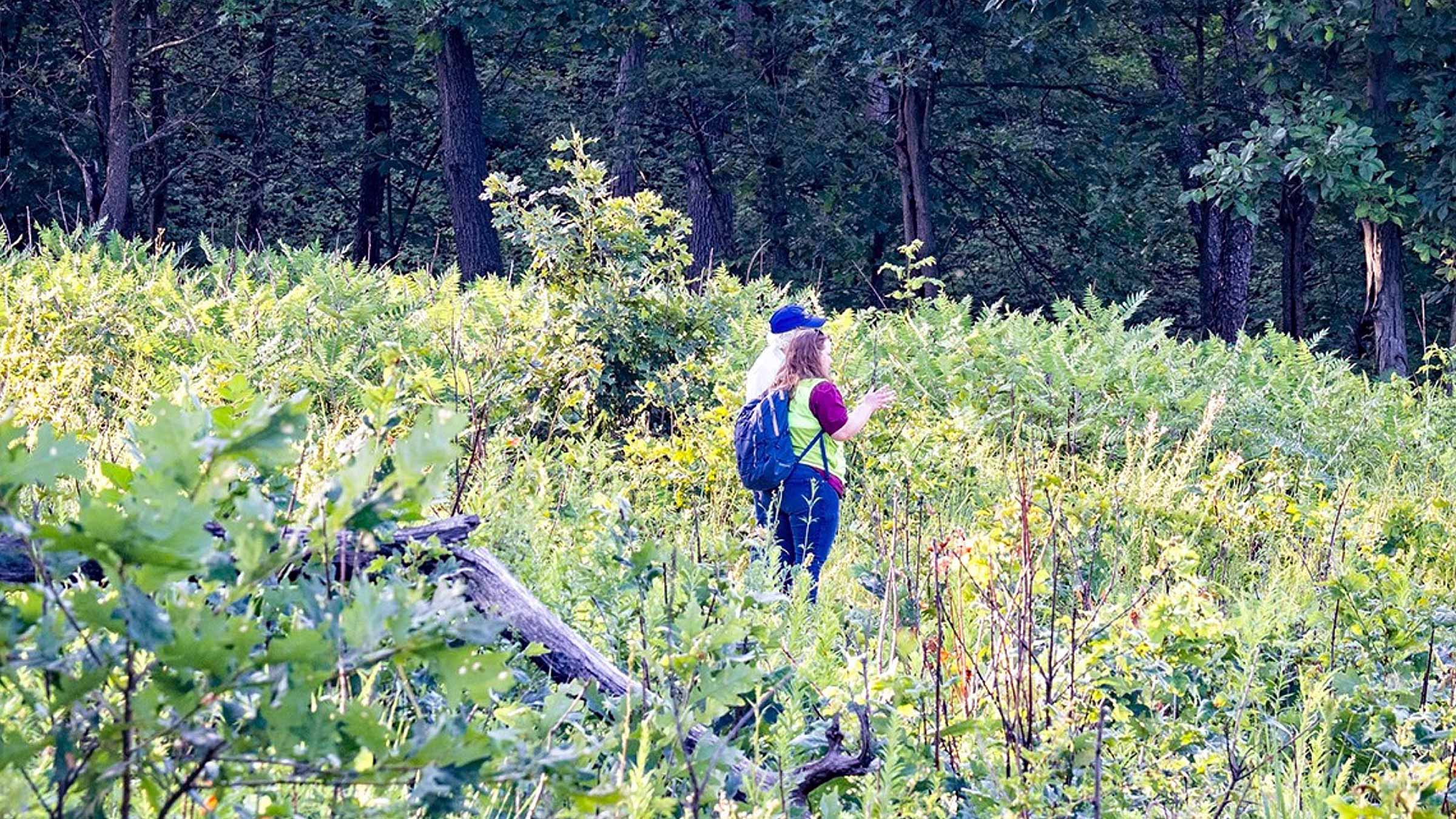 Nachusa Grasslands July Hiking Tours | Enjoy Illinois