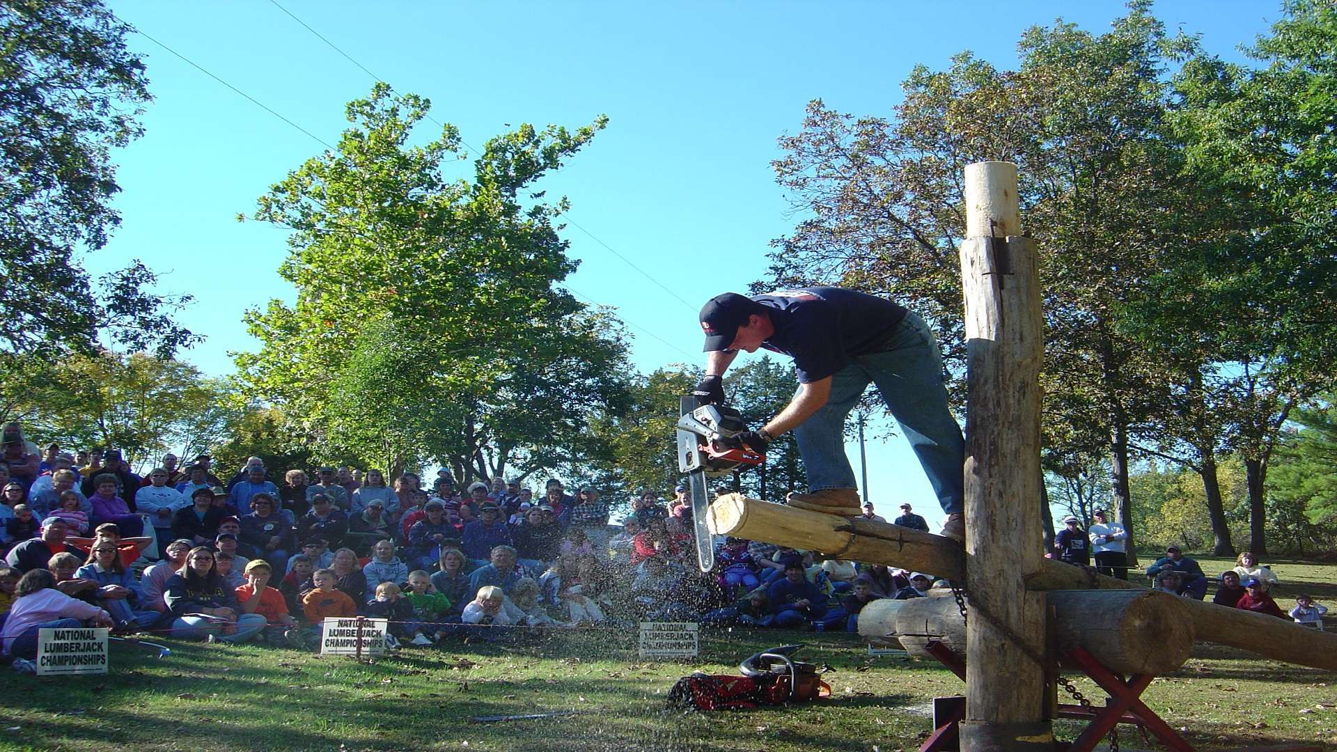 Rock Falls Lumberjack Show and Beard Contest | Enjoy Illinois